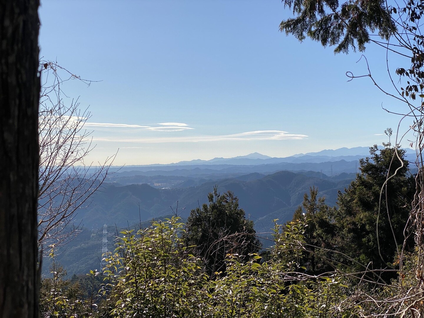 天覚山・久須美山・久須美ケルン(永田山)・大黒山・多峯主山・太郎坊・神久山・天覧山 / amanomanさんの天覧山・多峯主山・天覚山の活動データ | YAMAP / ヤマップ