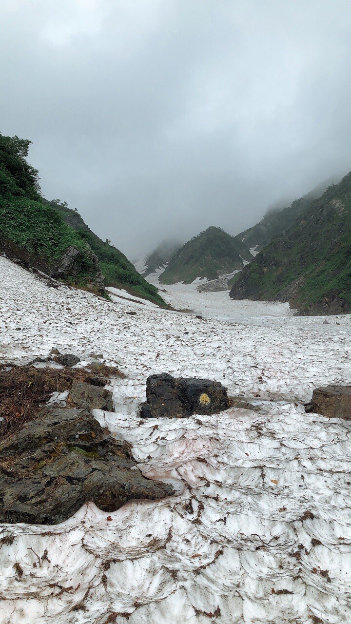 白馬大雪渓(岩室まで)2021-07-06 / kozueさんの登山の活動データ | YAMAP / ヤマップ