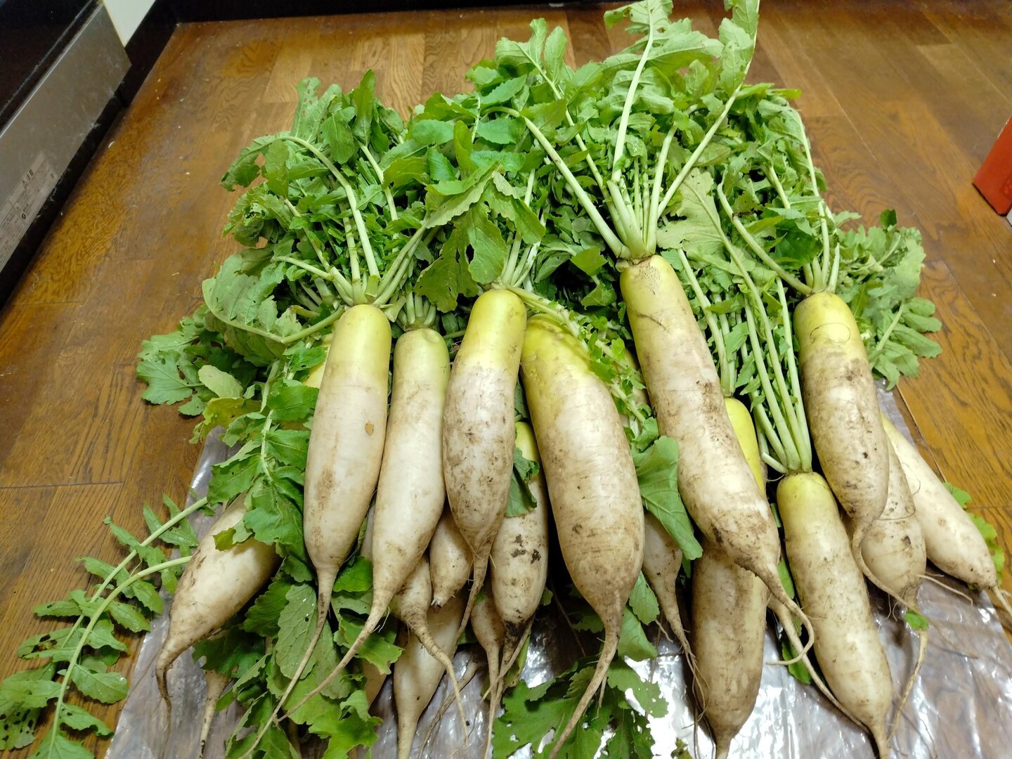 大根1/3収穫、大根菜っ葉も美味しいよ ... / ニャン002さんのモーメント | YAMAP / ヤマップ