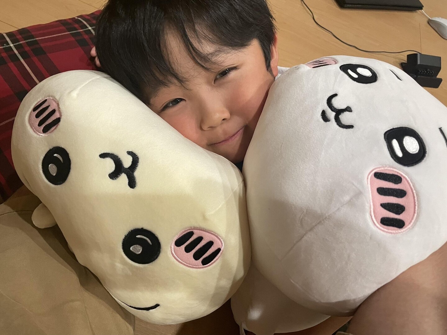 UFOキャッチャーでちいかわゲット ご機... / ほしのさんのモーメント | YAMAP / ヤマップ