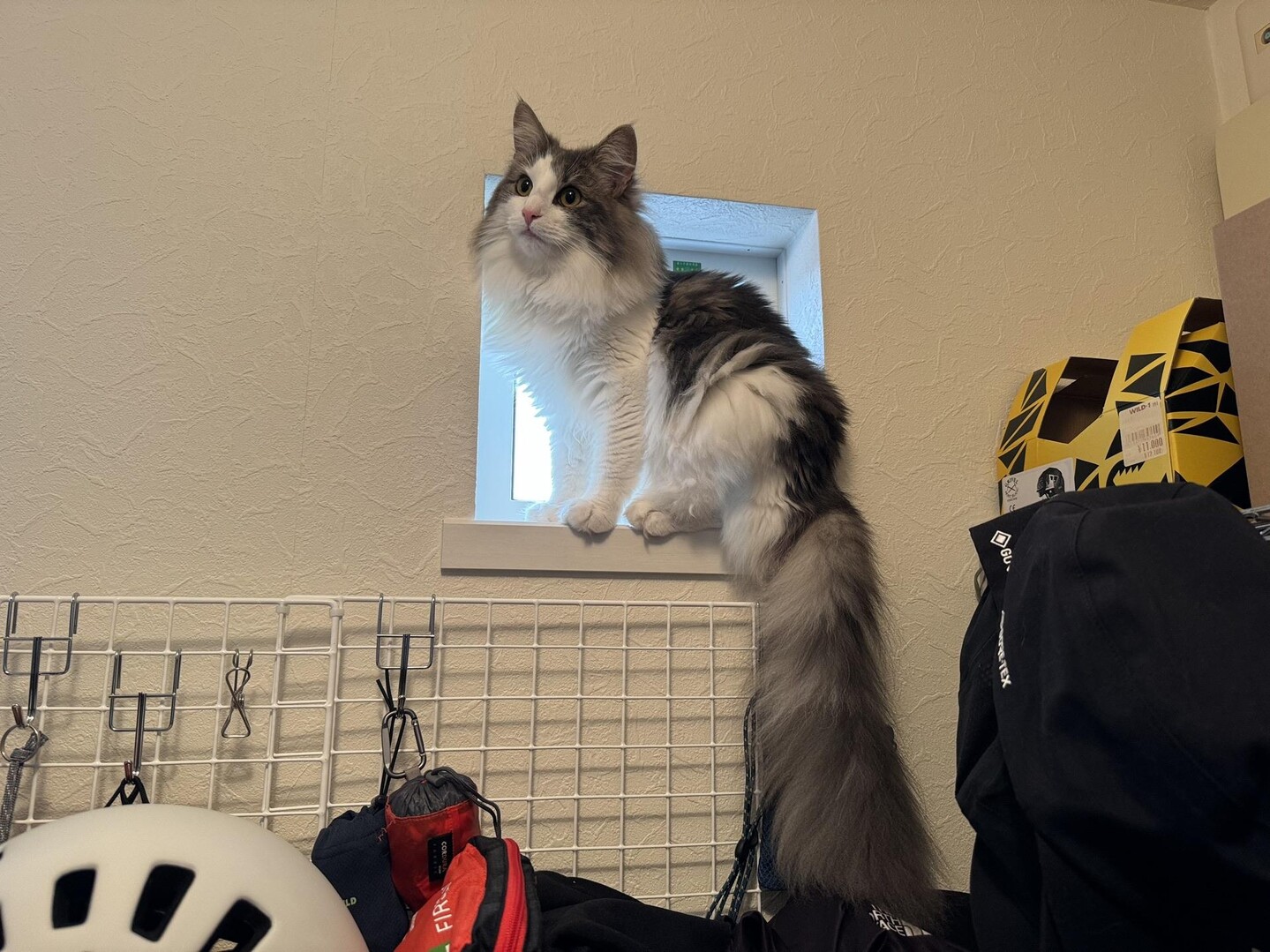 骨折 Final Stage#5 2/1... / Shin5さんのモーメント | YAMAP / ヤマップ