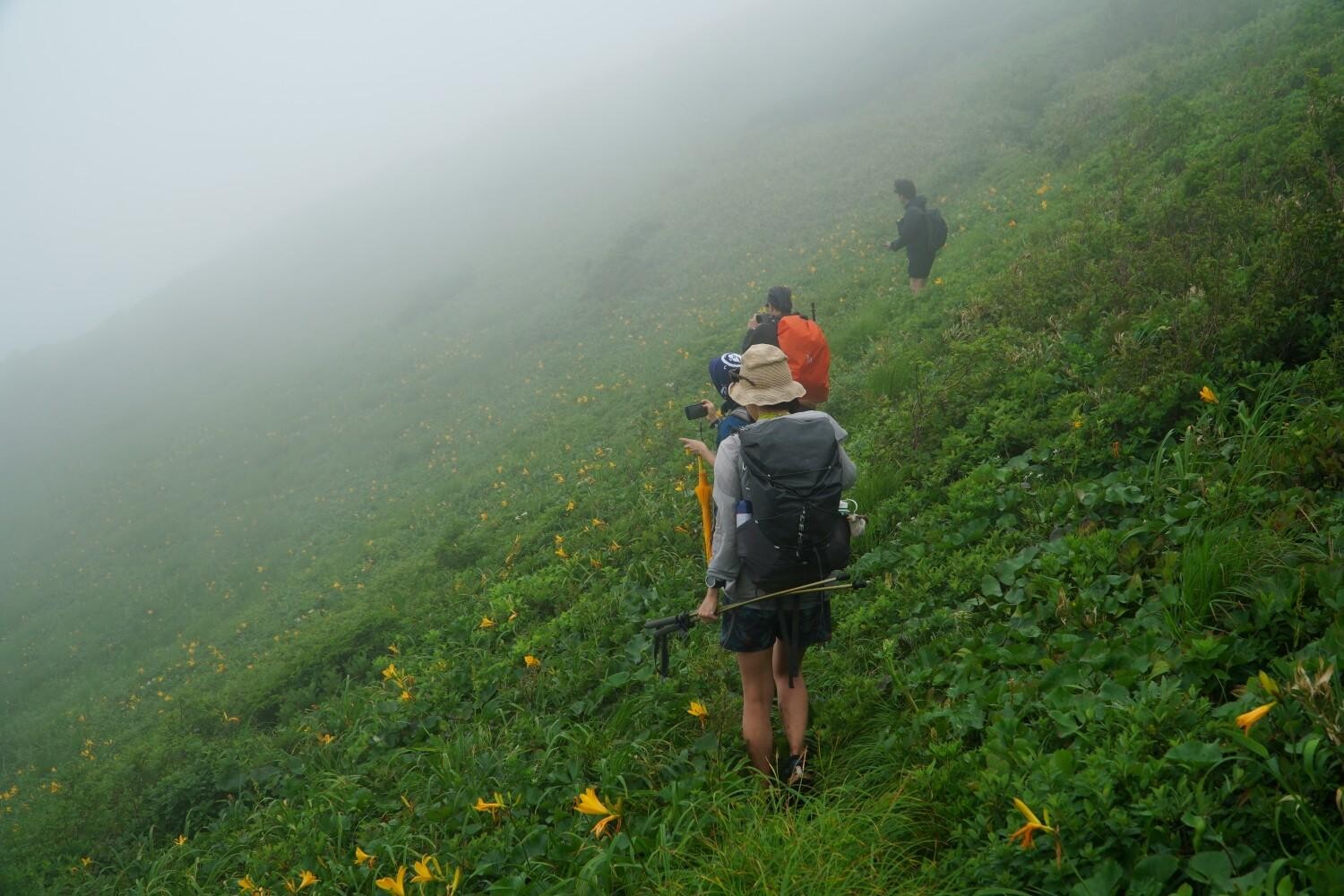 和賀岳 / R.Chibaさんの和賀岳・薬師岳・高下岳の活動データ | YAMAP / ヤマップ