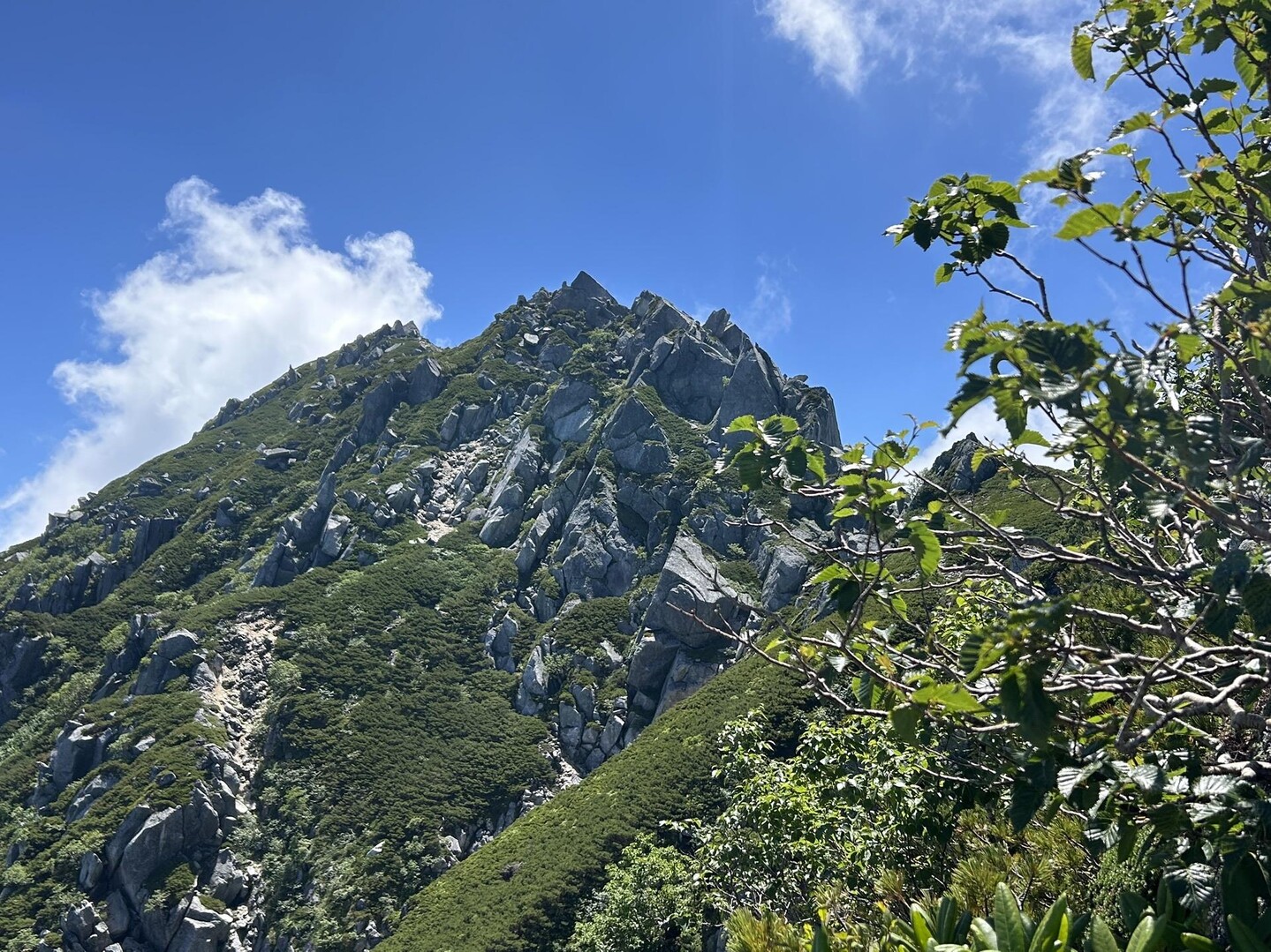 TJAR歩いてみた 13日目 濁沢大峰〜駒ヶ根 / なゆさんの木曽駒ヶ岳・空木岳・越百山の活動日記 | YAMAP / ヤマップ
