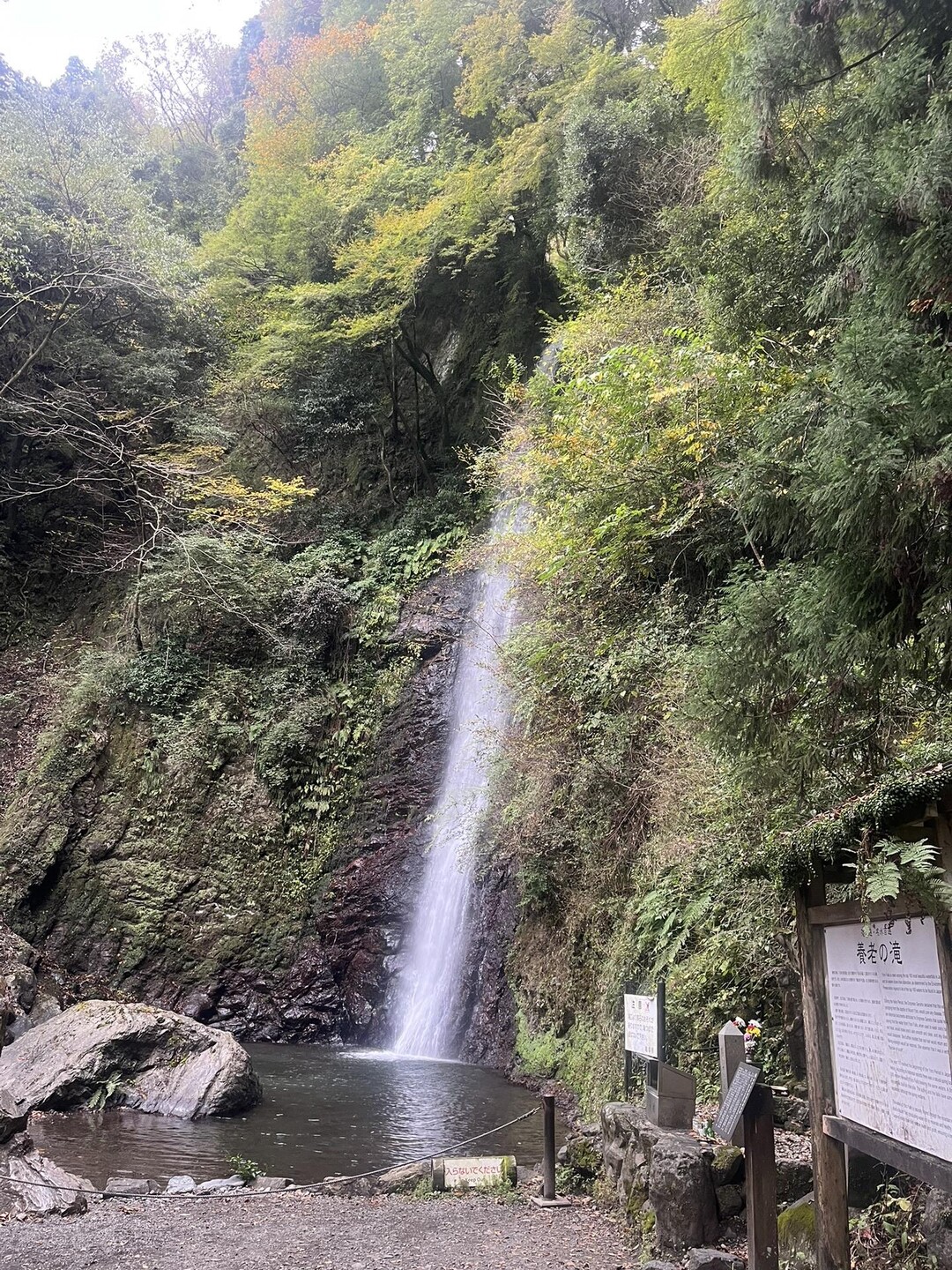 北尾根P826峰・小倉山・三方山 / ponkitiさんの養老山・笙ヶ岳・三方山の活動データ | YAMAP / ヤマップ