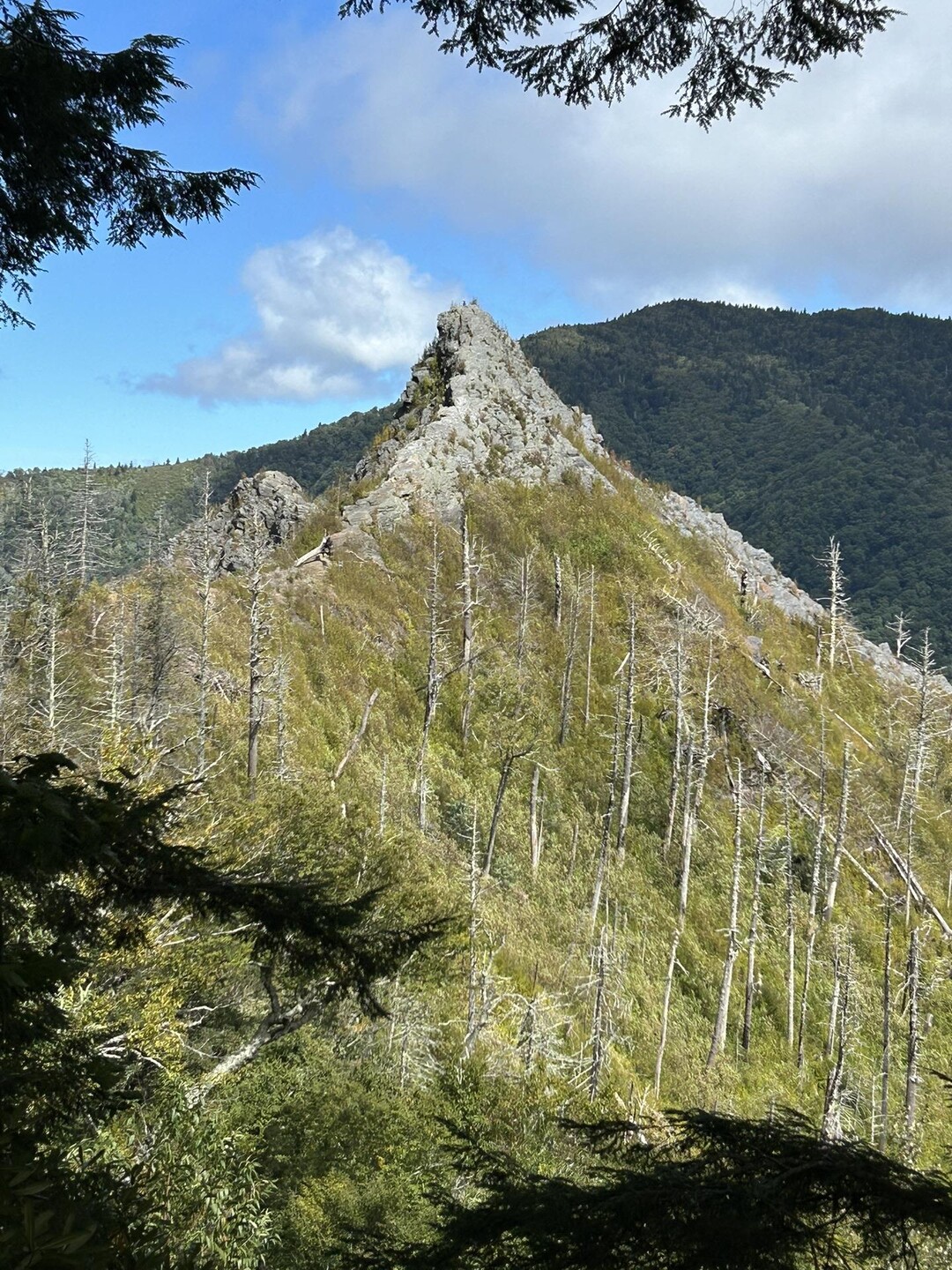 Chimney Tops / Jinさんのグレート・スモーキー山脈国立公園の活動データ | YAMAP / ヤマップ