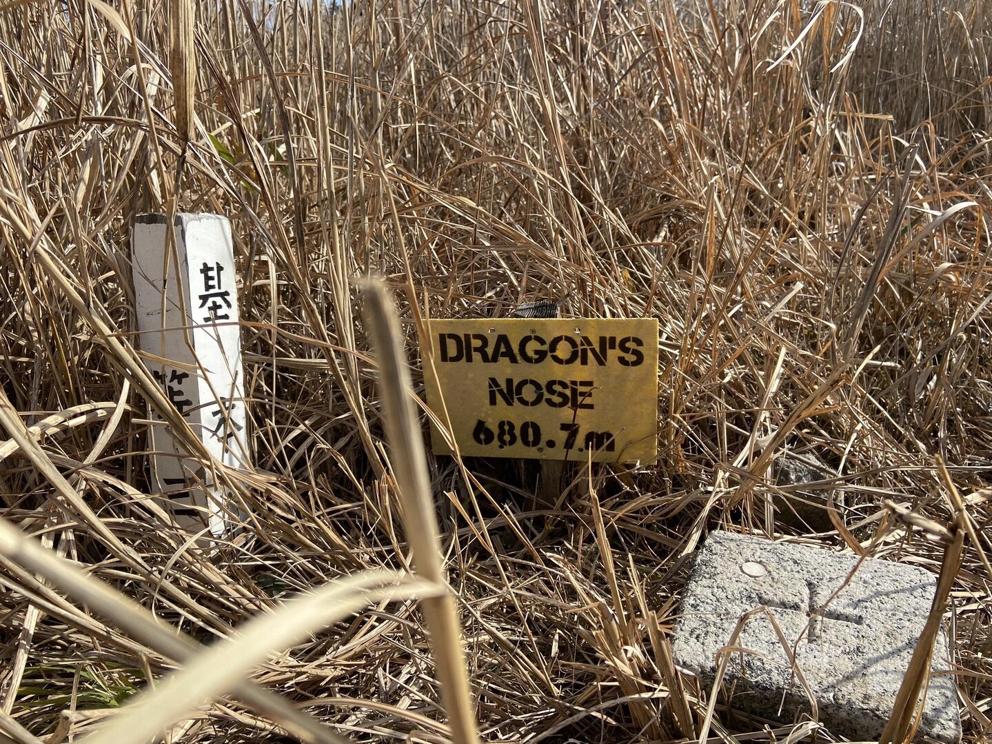 竜ヶ鼻 Dragon's nose / KudoMさんの竜ヶ鼻の活動データ | YAMAP / ヤマップ