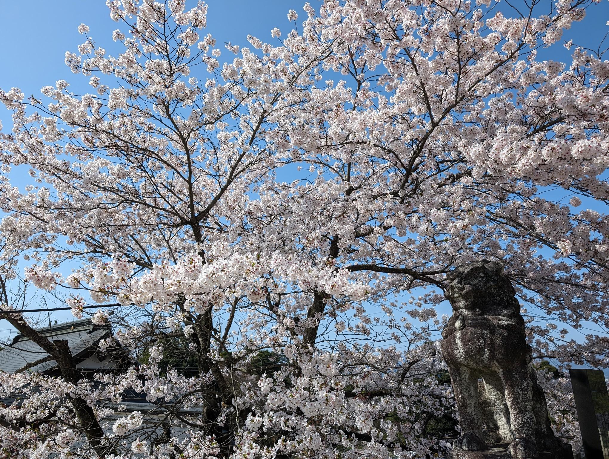 信夫山（熊野山）・信夫山(羽黒山)・信夫山(羽山) / TWOさんの十万劫山の活動データ | YAMAP / ヤマップ