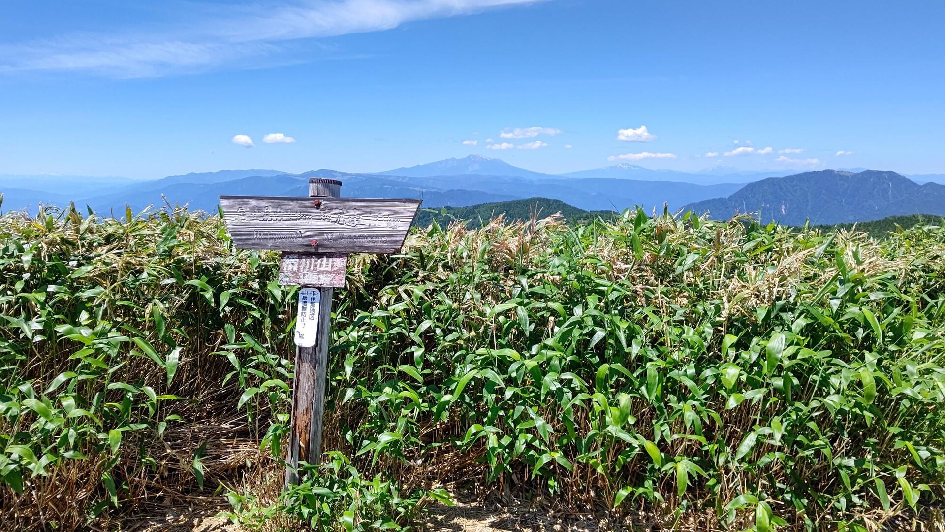 南沢山・横川山（湯舟沢山） / guriko5さんの恵那山・大判山・神坂山の活動データ | YAMAP / ヤマップ