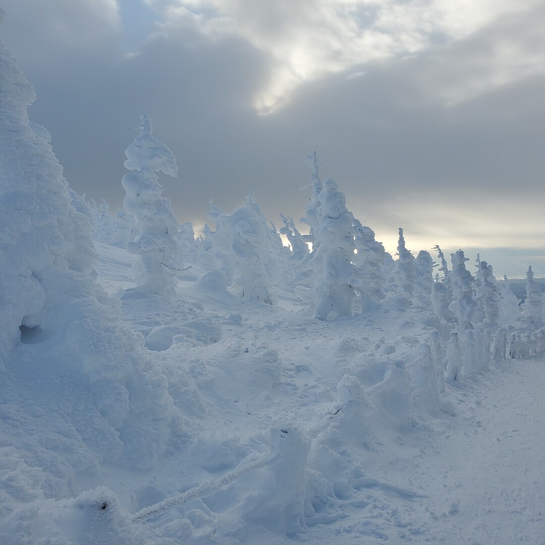蔵王 / vivanoriさんのモーメント | YAMAP / ヤマップ