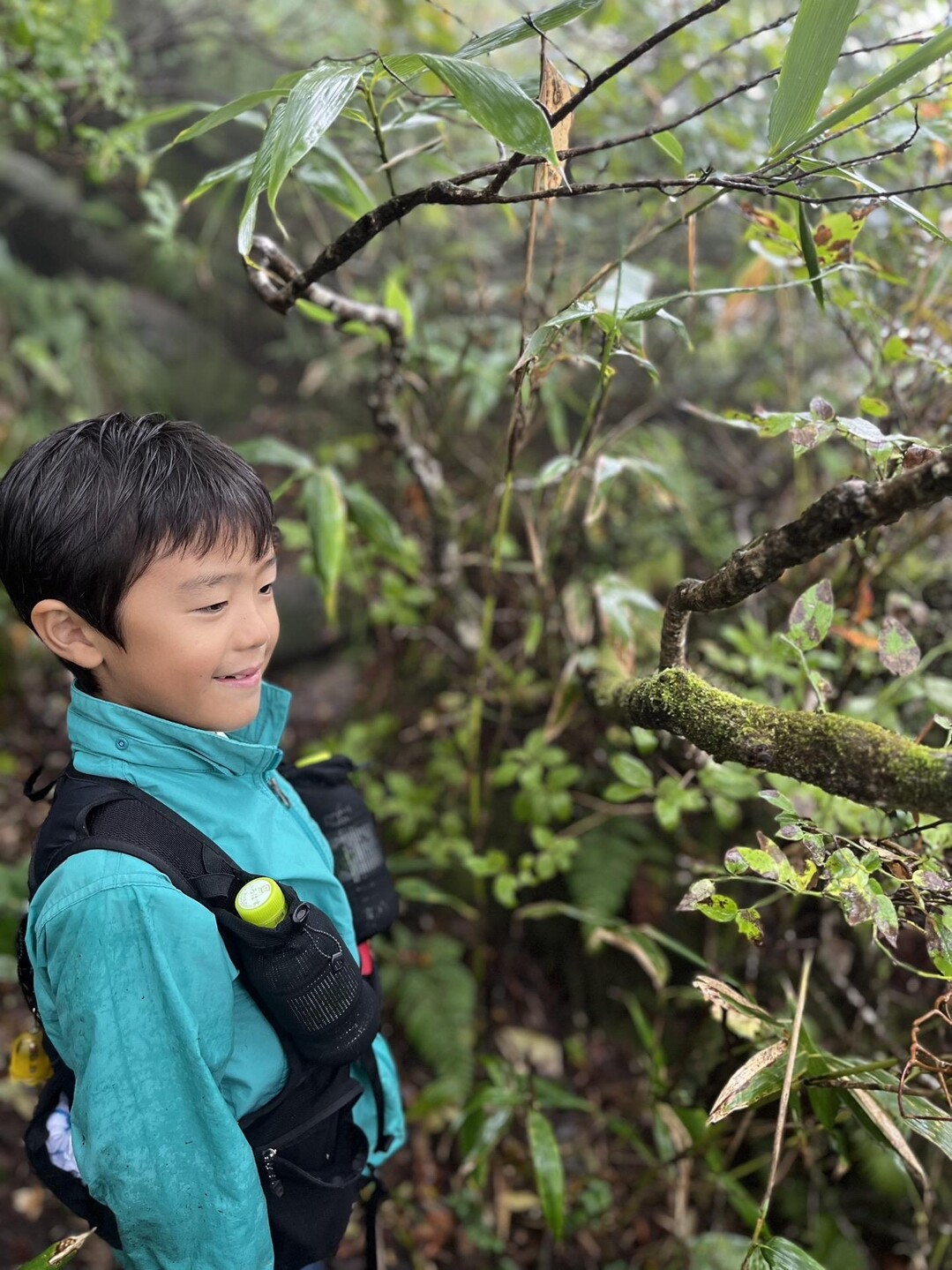 チャレンジ烏ヶ山！ 息子初めての標高1400m超えへ / ippeioさんの烏ヶ山・象山（笹ヶ峰）の活動データ | YAMAP / ヤマップ