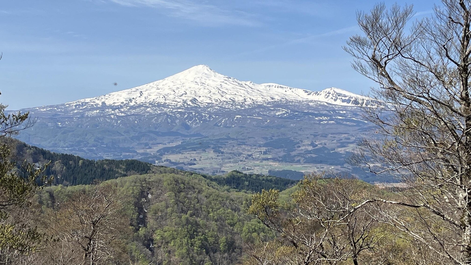 八塩山 イワウチワにアズマシロカネソウも / suzurecoさんの八塩山の活動データ | YAMAP / ヤマップ