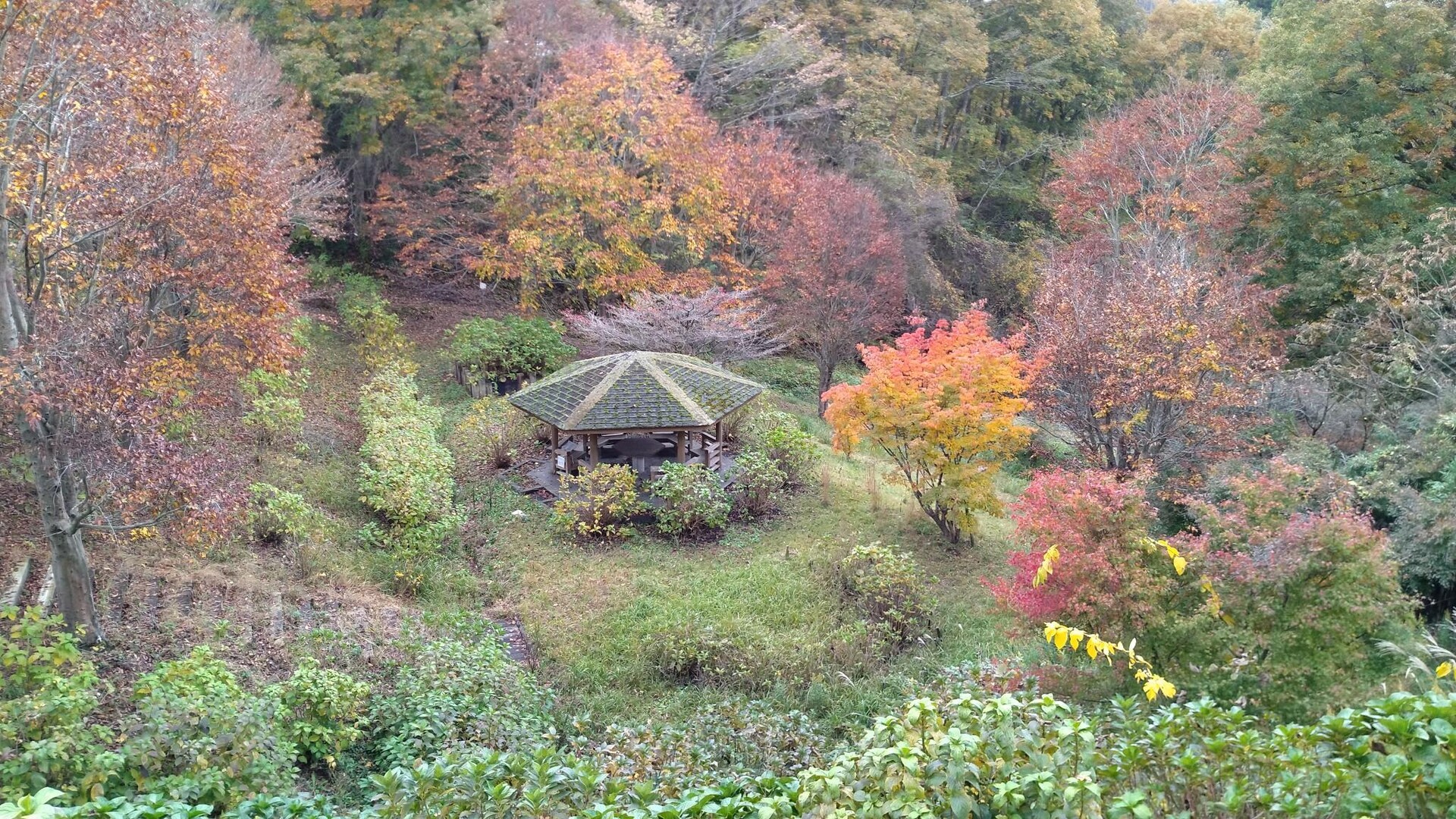 御岩山・高鈴山・神峰山 / type52さんの日立アルプストレイル・神峰山（神峯山）の活動データ | YAMAP / ヤマップ