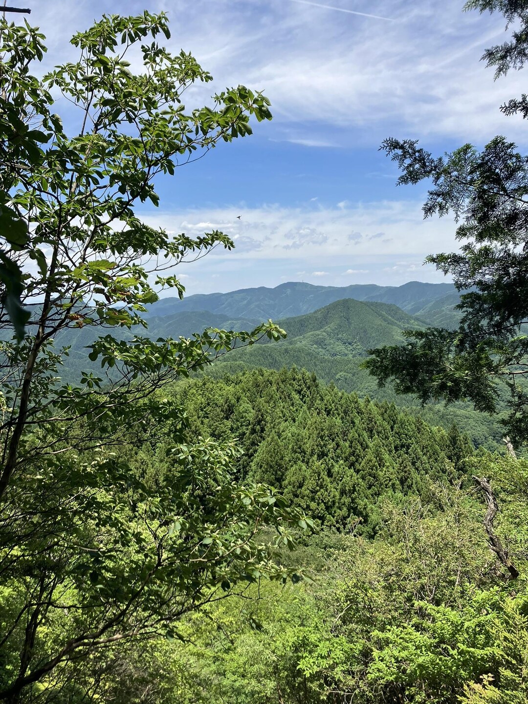 伊豆ヶ岳 / ROMIさんの武甲山・伊豆ヶ岳・小持山の活動データ | YAMAP / ヤマップ