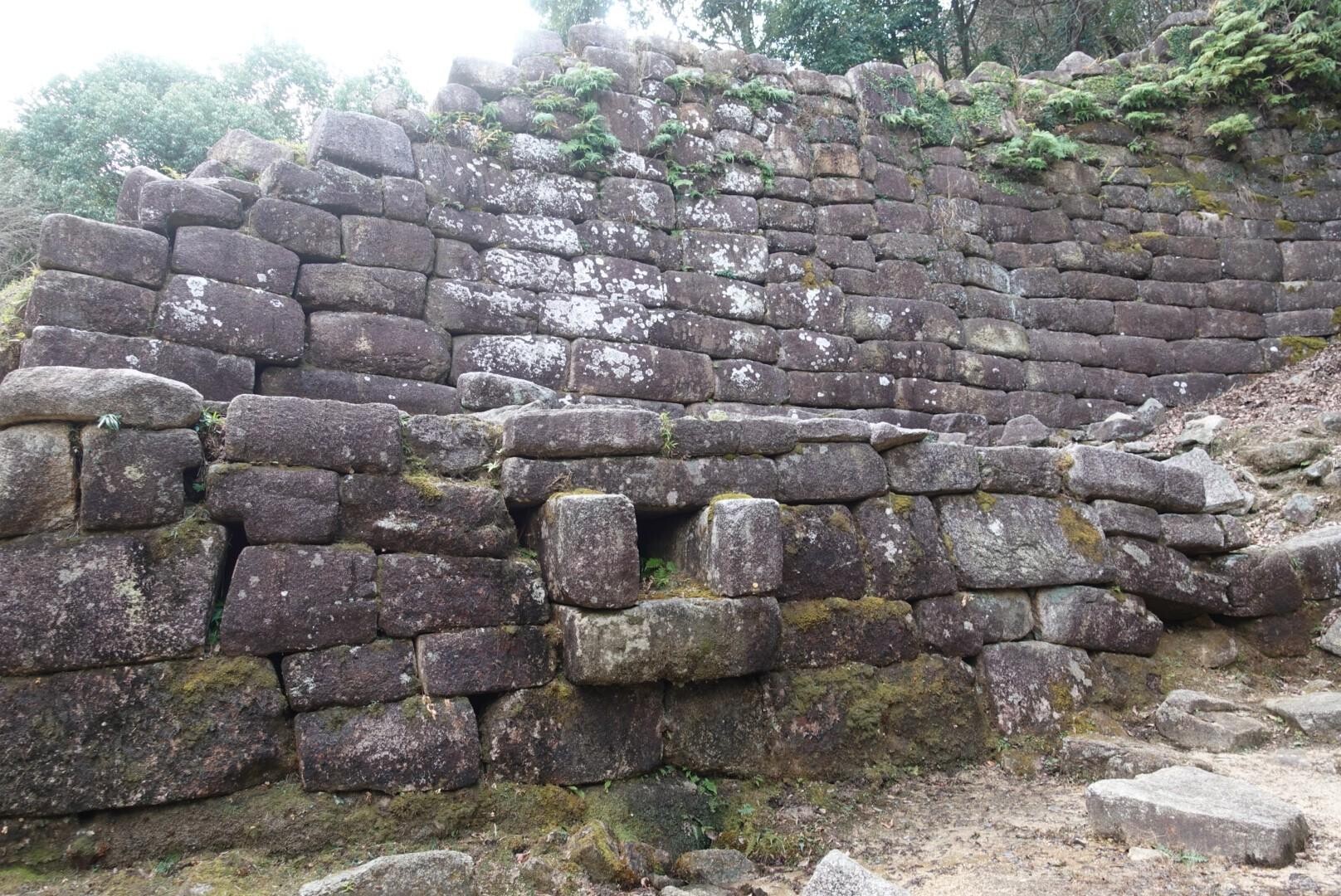 御所ヶ岳 / MS-DESさんの馬ヶ岳の活動データ | YAMAP / ヤマップ