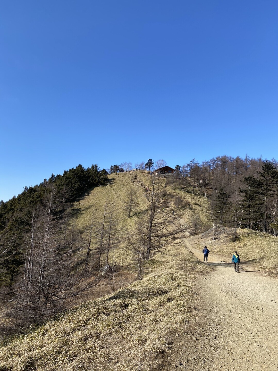 雲取山 / raさんの雲取山・鷹ノ巣山・七ツ石山の活動データ | YAMAP / ヤマップ