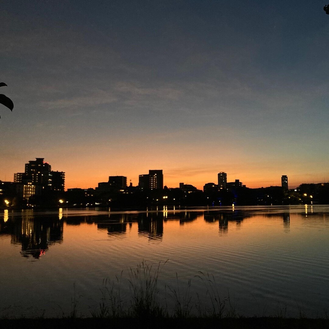 月曜ラン 夕日を眺めながらのラン。 眩し... / kyokoさんのモーメント | YAMAP / ヤマップ