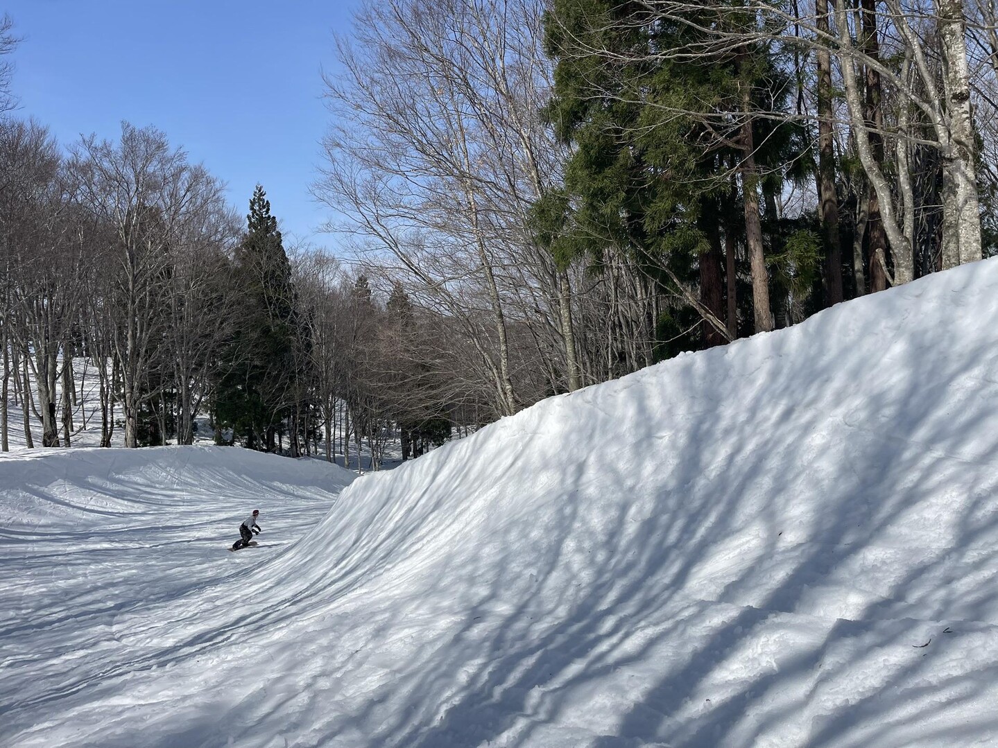 湯殿山スキー場行って来ました！ Rだらけ... / ゆゆゆさんのモーメント | YAMAP / ヤマップ