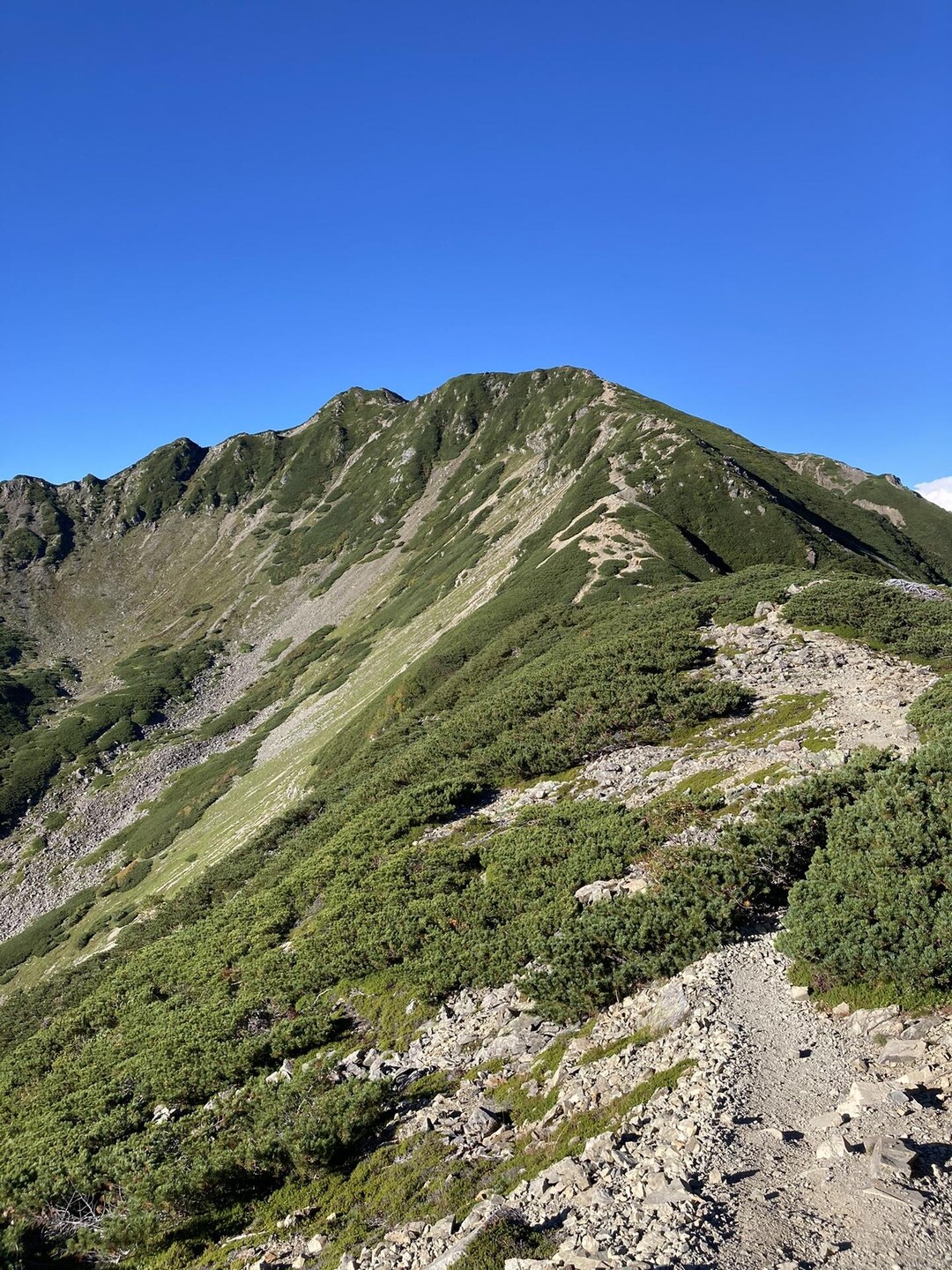 仙丈ヶ岳 笑顔🥸🥸👩🥸最高 ️ / BONDIさんの仙丈ヶ岳・伊那荒倉岳の活動日記 | YAMAP / ヤマップ