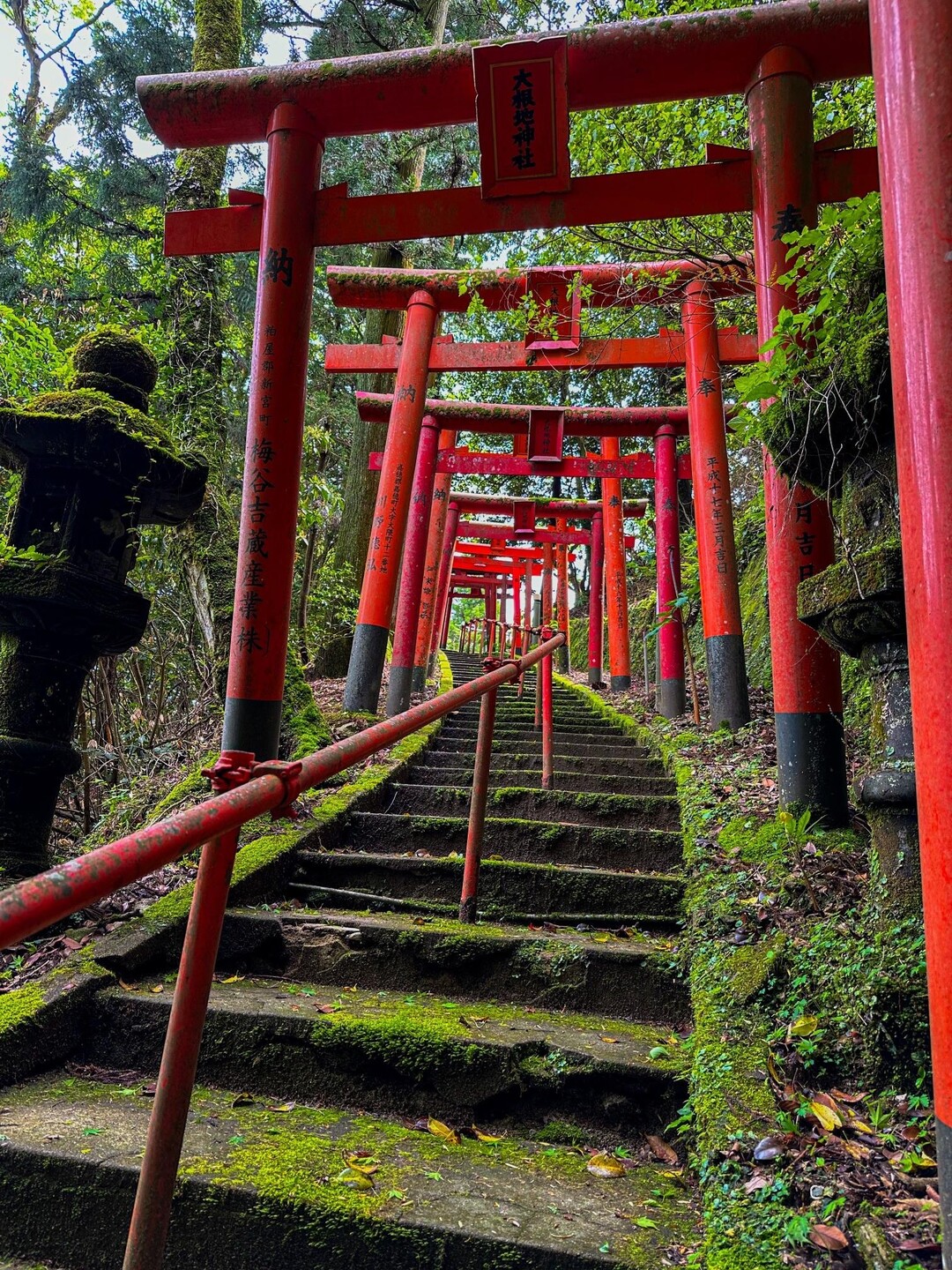 大根地山 / jun.nisiiさんの大根地山の活動データ | YAMAP / ヤマップ