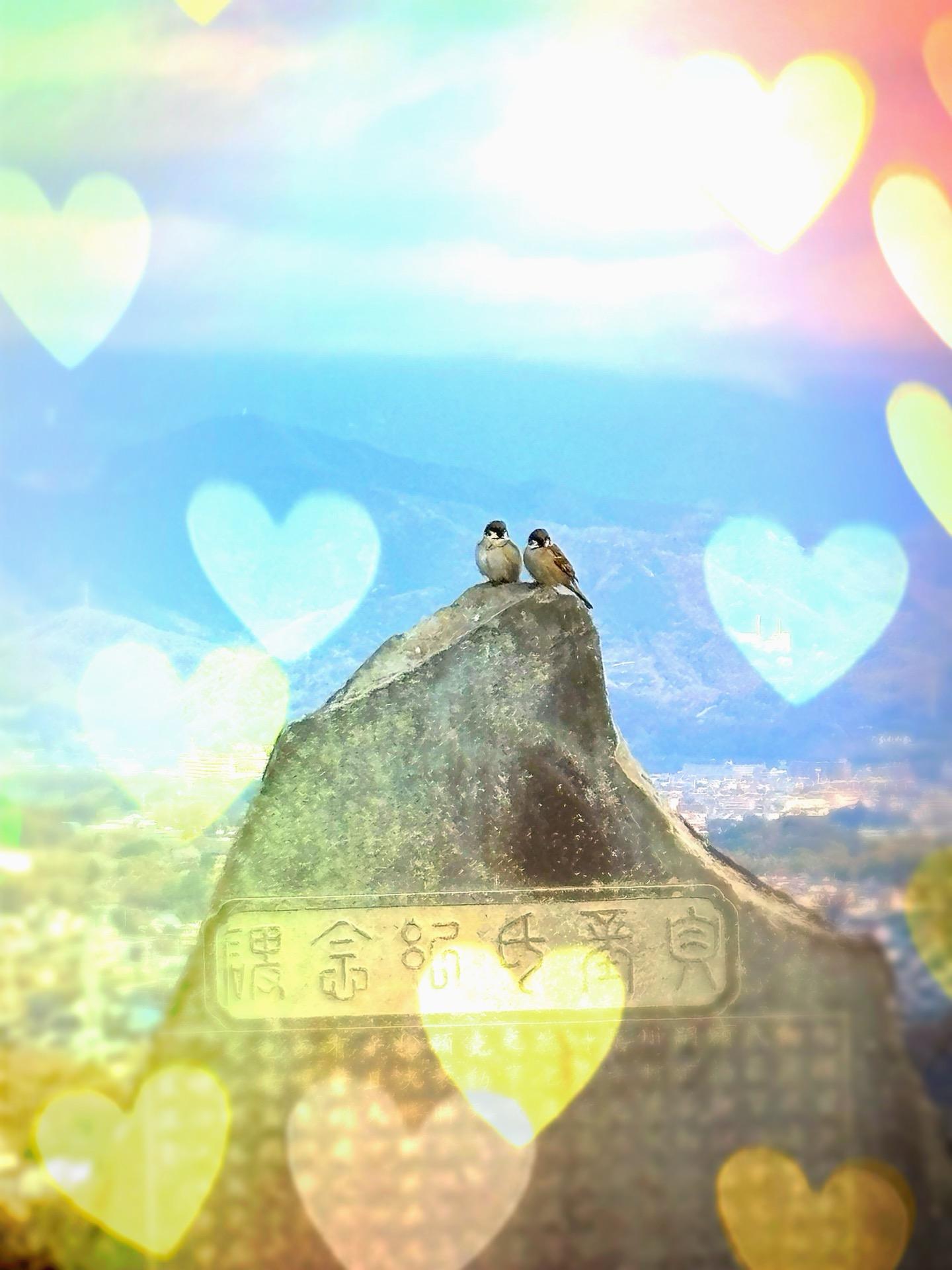 湘南のカップル発見👩🏻‍ ️‍💋‍... / norinoさんのモーメント | YAMAP / ヤマップ