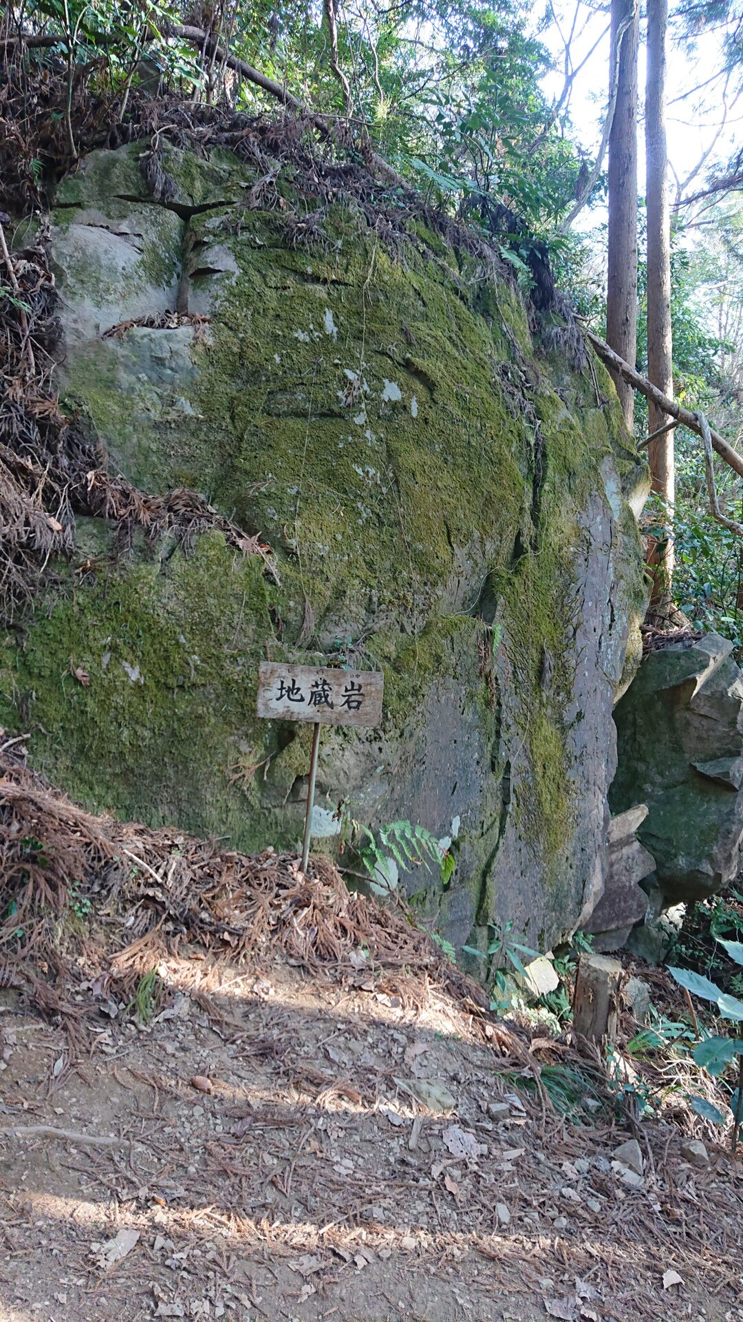 papeさんの投稿したフィールドメモ | YAMAP / ヤマップ