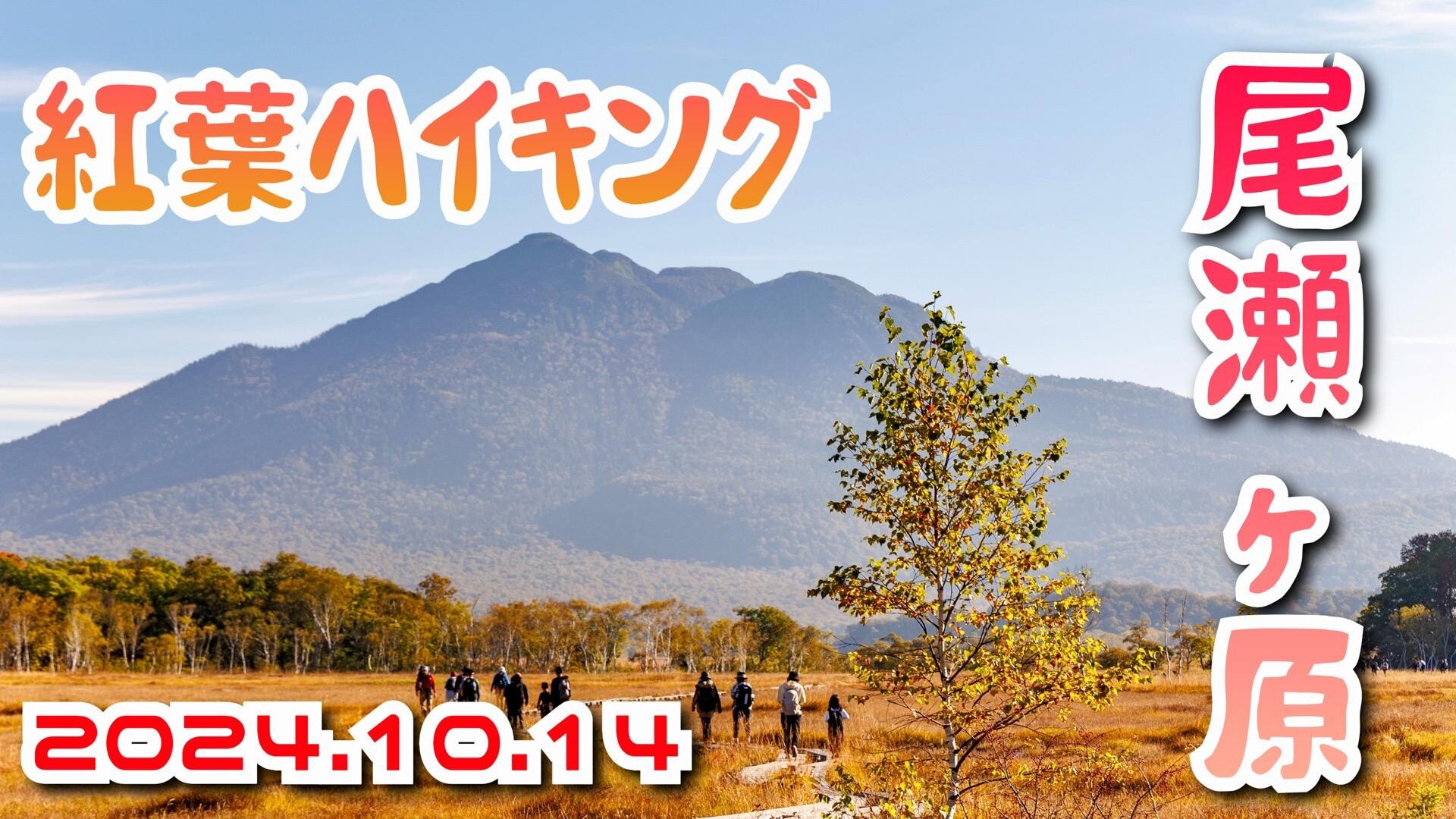 🍁秋を感じに尾瀬へ / Hideyan🐶さんの尾瀬・燧ヶ岳の活動データ | YAMAP / ヤマップ