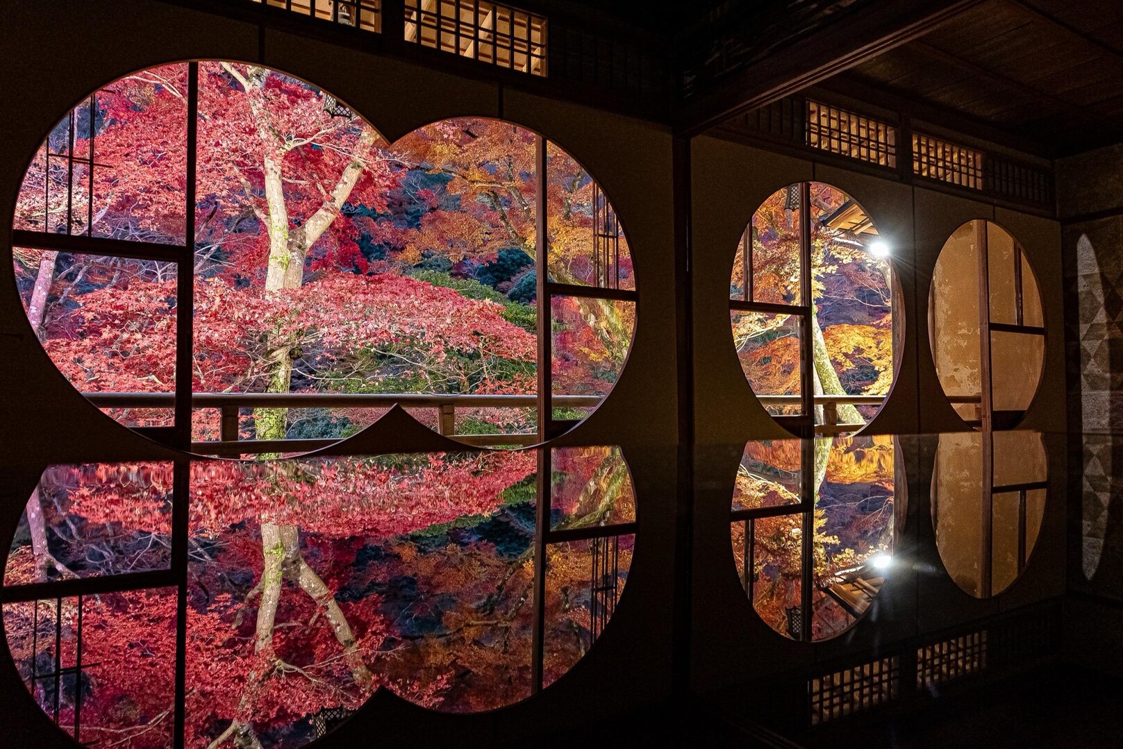 2024-12-07 紅葉散策2🍁 京... / peaks senpaiさんのモーメント | YAMAP / ヤマップ