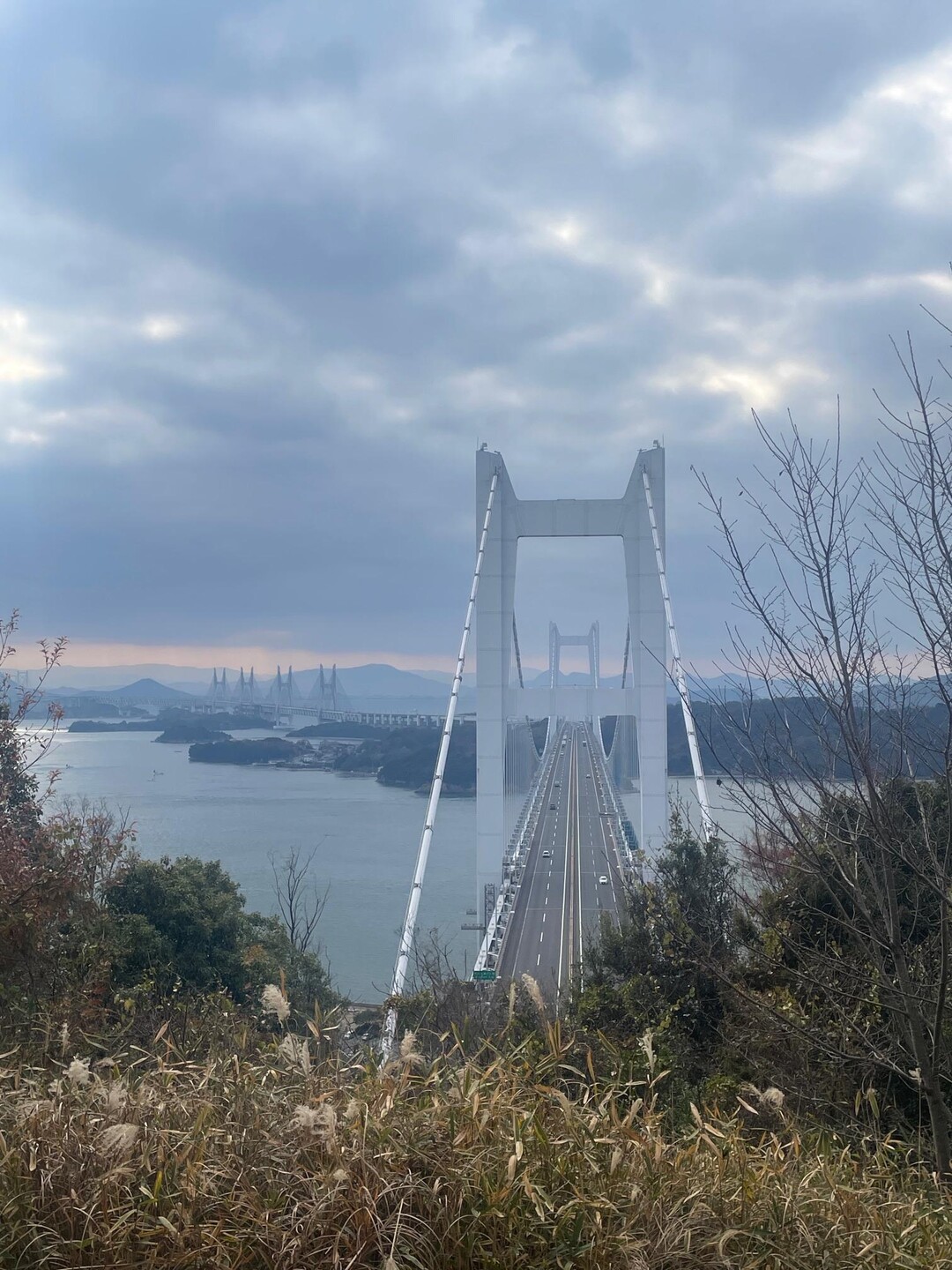 児島風の道-2023-12-26 / Sineiさんのウォーキングの活動データ | YAMAP / ヤマップ