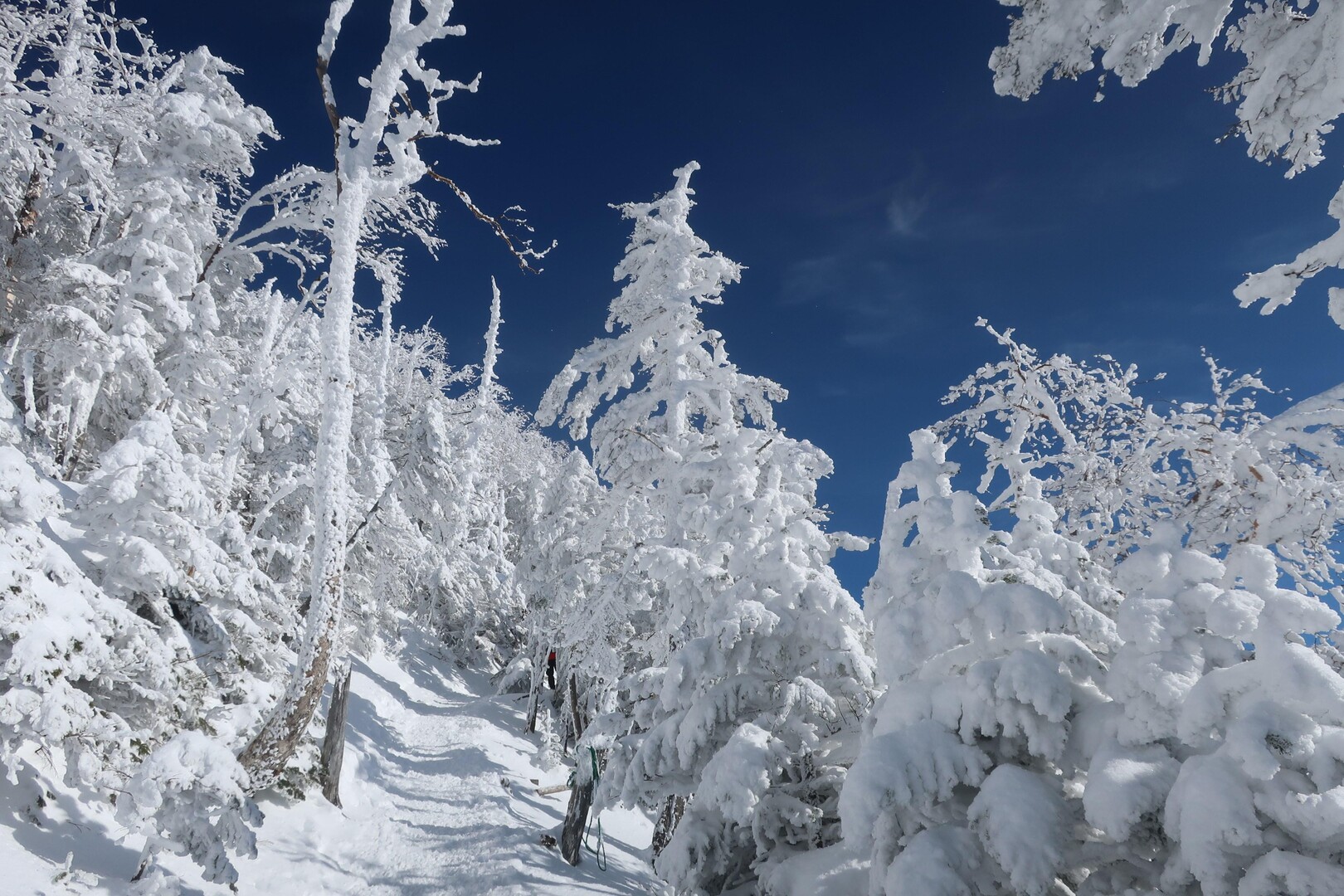北横岳＆縞枯山（冬）坪庭～北横ピストン～縞枯山展望台ピストン / ukonさんの蓼科山・横岳・縞枯山の活動日記 | YAMAP / ヤマップ