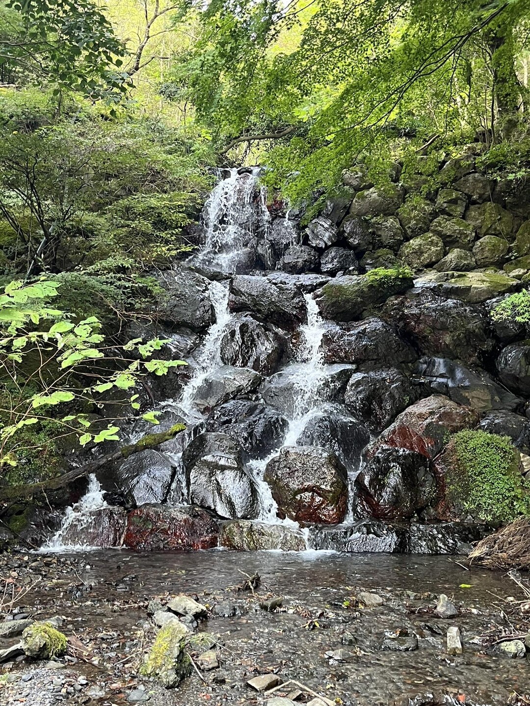 三方山・小倉山・養老山・北尾根P826峰 / Takamiyさんの養老山・笙ヶ岳・三方山の活動データ | YAMAP / ヤマップ