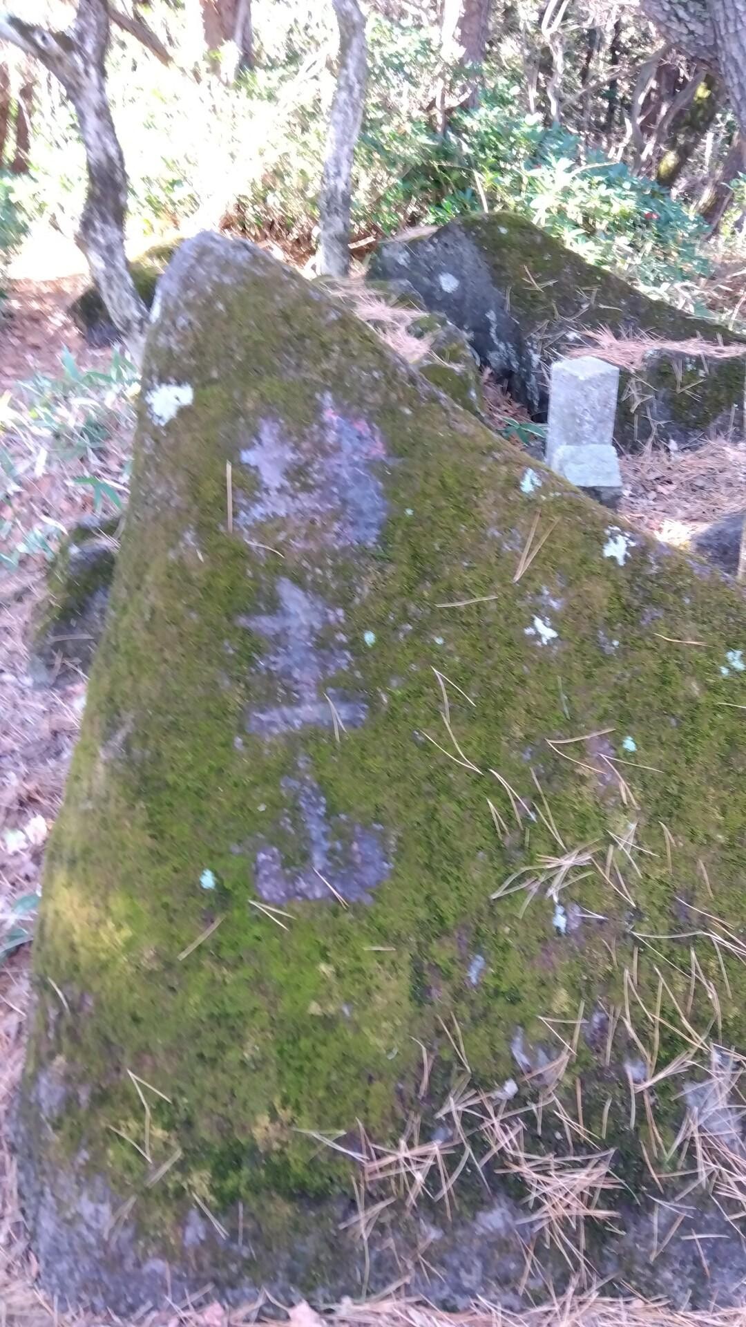 強風の筑波山薬王院コース / w.miyukiさんの筑波山の活動データ | YAMAP / ヤマップ