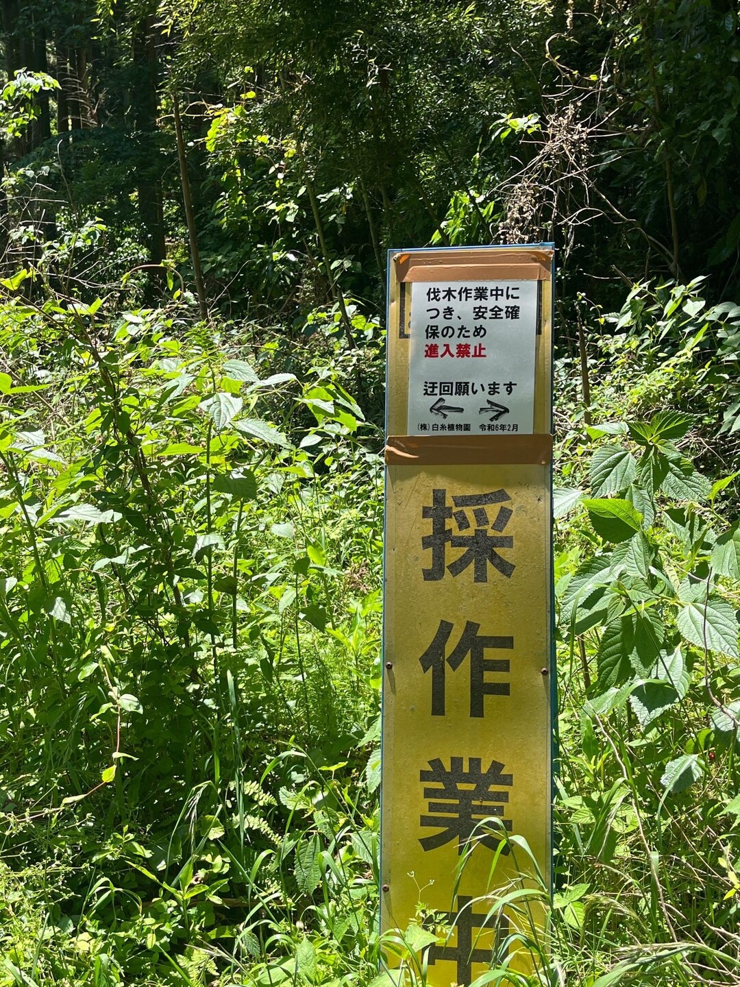 鹿さんの投稿したフィールドメモ | YAMAP / ヤマップ