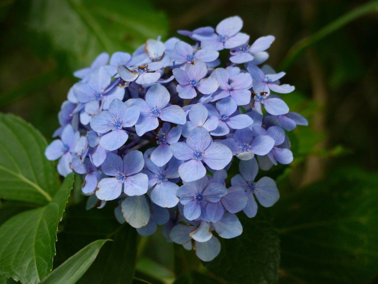 Umida(Умида) のページ | YAMAP / ヤマップ