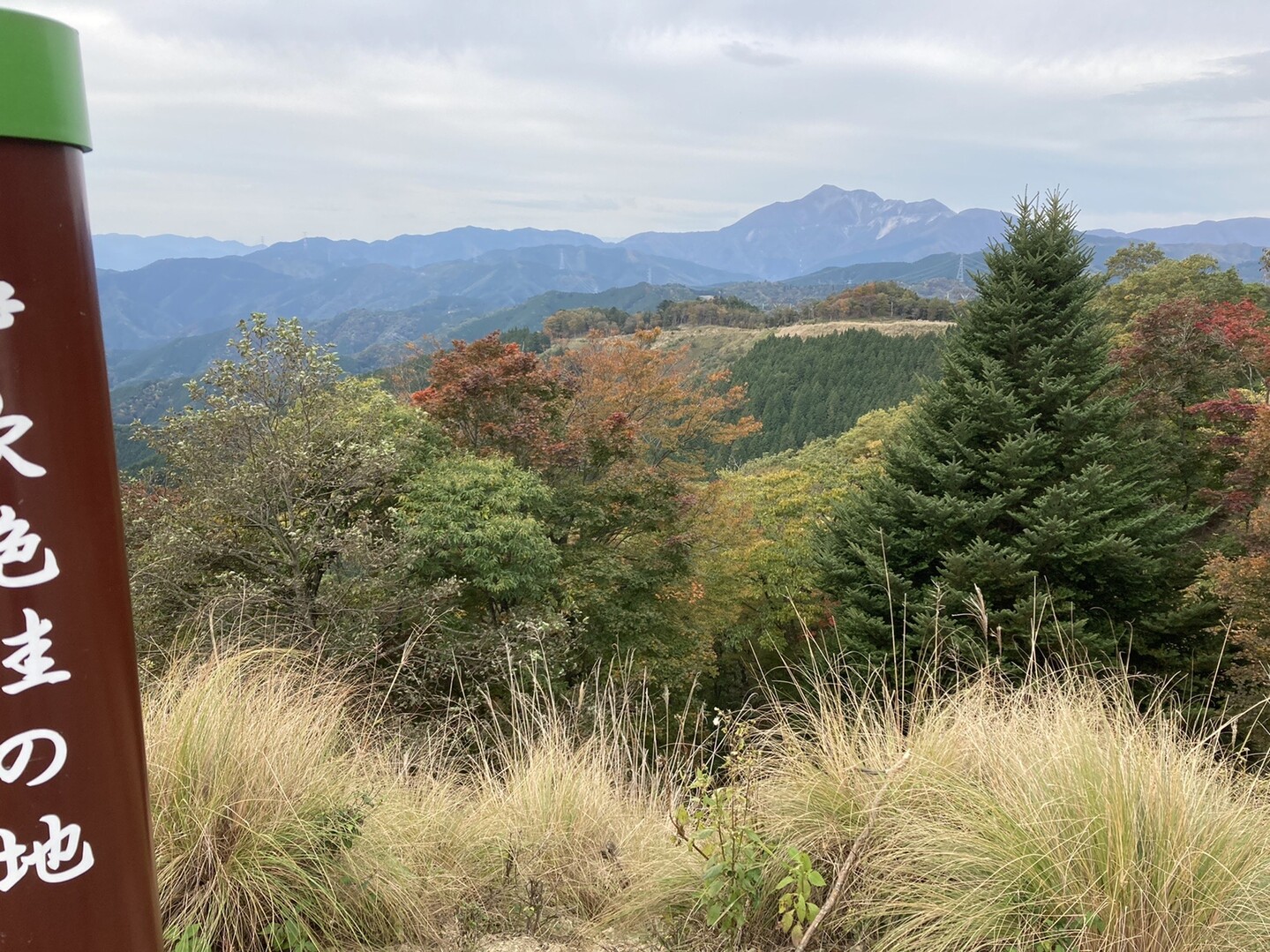 伊吹山絶佳の地、池田山 / smashaceさんの池田山の活動データ | YAMAP / ヤマップ