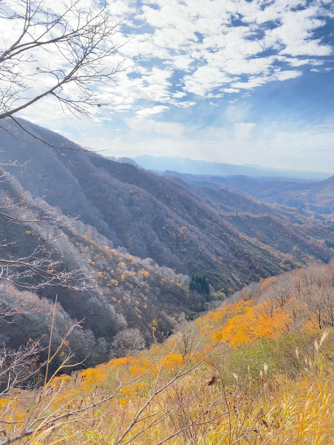 はじめまして😊の⛰黒姫山⛰ / ryo-yanさんの刈羽黒姫山の活動データ | YAMAP / ヤマップ