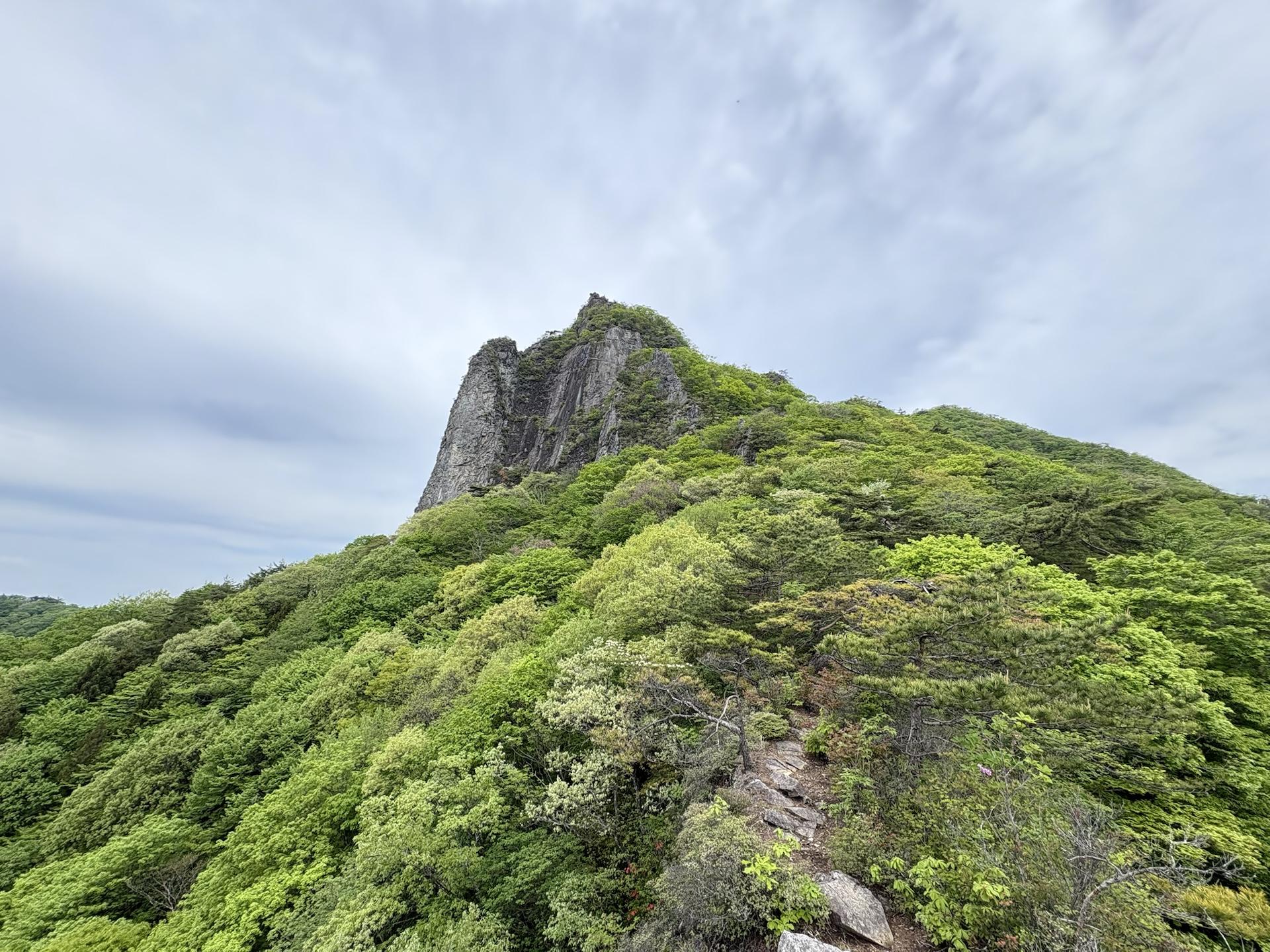 子持山 / satokaさんの子持山の活動データ | YAMAP / ヤマップ