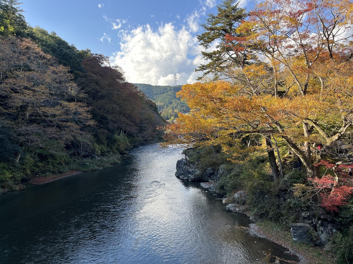 棒ノ嶺・高水山・岩茸石 （軍畑ST↑清東橋BS↓） Nov② / SRKZさんの棒ノ折山（棒ノ嶺）の活動データ | YAMAP / ヤマップ