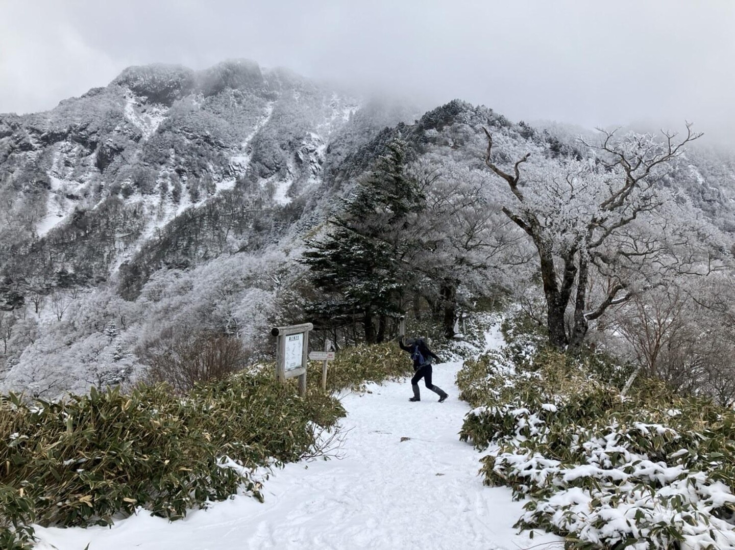 雪を求めて石鎚山へ / cozy284さんの石鎚山・堂ヶ森・二ノ森の活動データ | YAMAP / ヤマップ