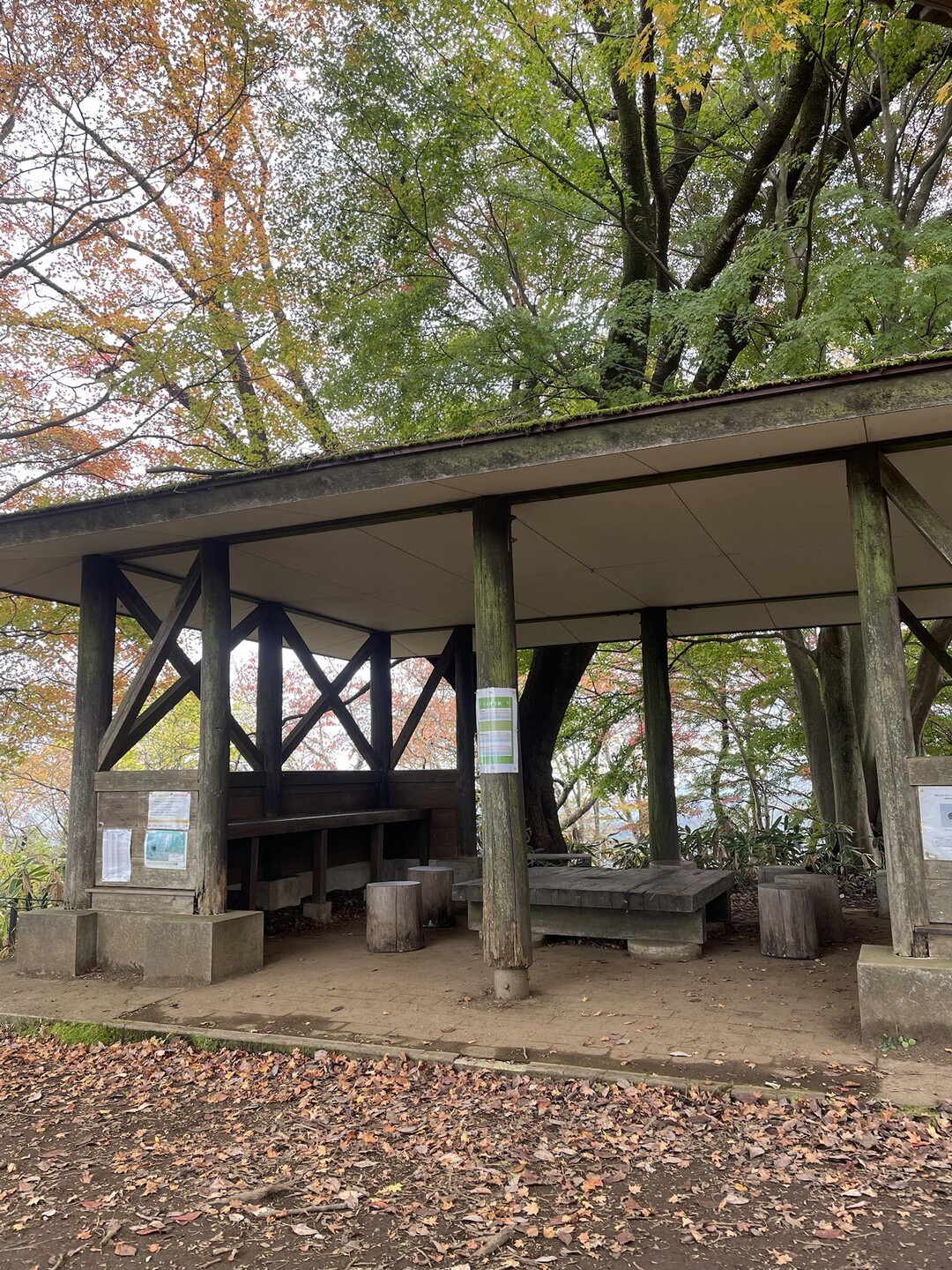 478m圏峰・大久保山・景信山 / REさんの高尾山・陣馬山・景信山の活動データ | YAMAP / ヤマップ