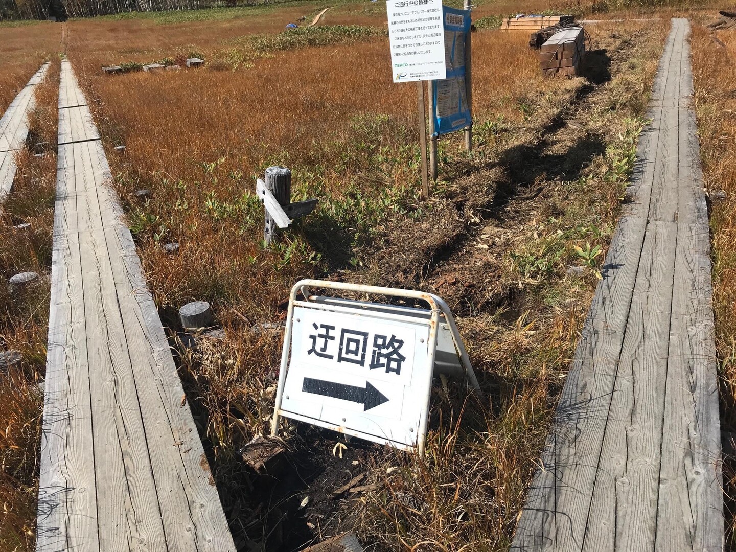itako sanさんの投稿したフィールドメモ | YAMAP / ヤマップ