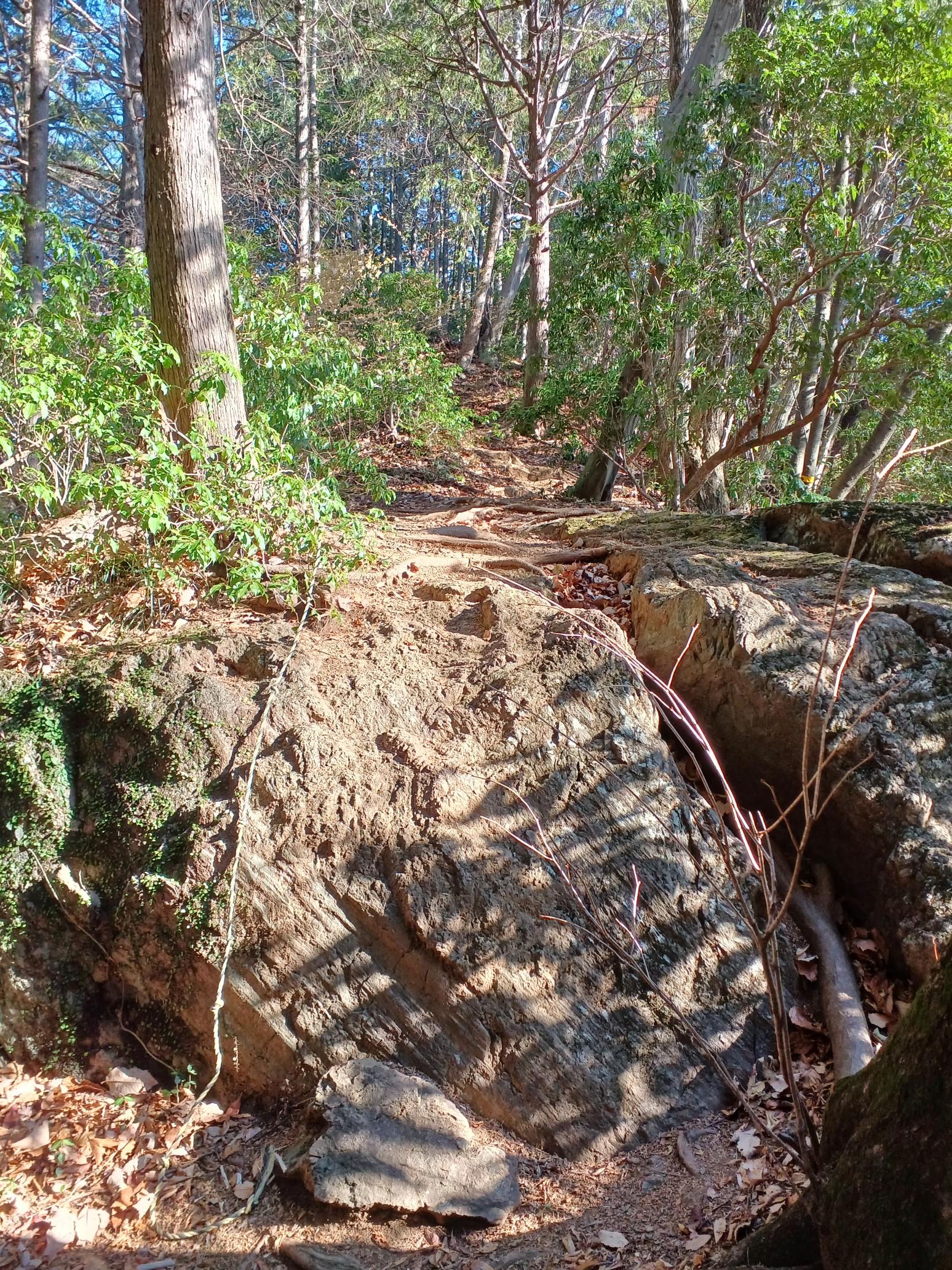 spesさんの投稿したフィールドメモ | YAMAP / ヤマップ