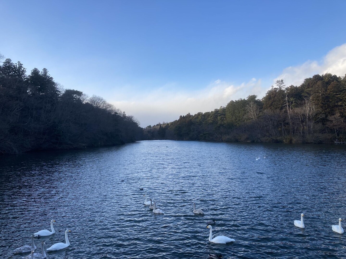 こんにちは^ ^ 今日は朝から晴れては... / OBsunさんのモーメント | YAMAP / ヤマップ