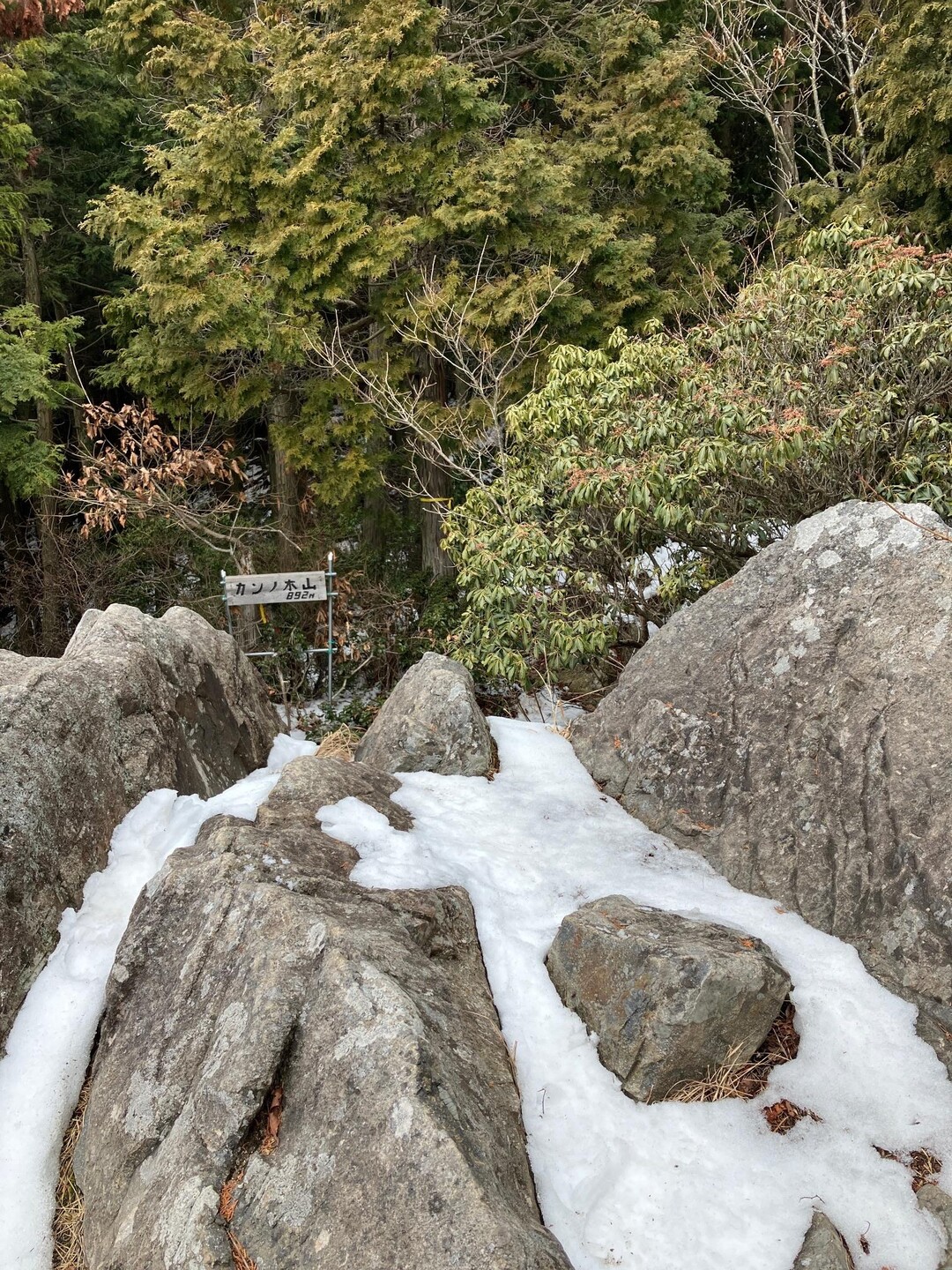 ぐるっと鷹ノ巣山・カンノ木山 / totoさんの鷹ノ巣山・カンノ木山・硫黄山の活動データ | YAMAP / ヤマップ
