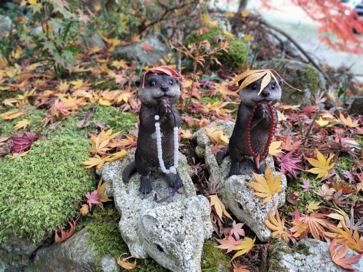 常楽寺 〜 阿星山 〜 長寿寺 / hi-santさんの阿星山の活動データ | YAMAP / ヤマップ