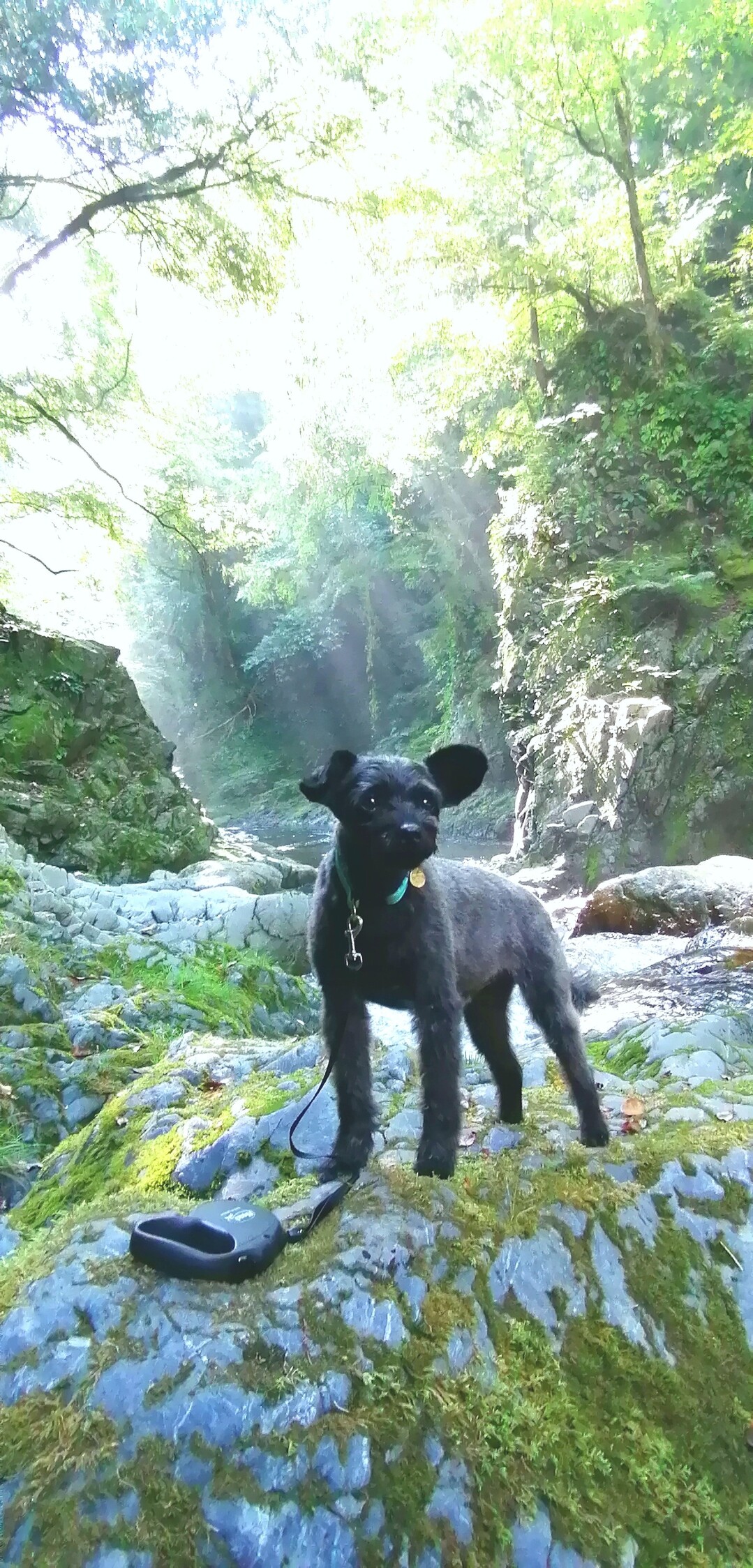 koroponのページ | YAMAP / ヤマップ