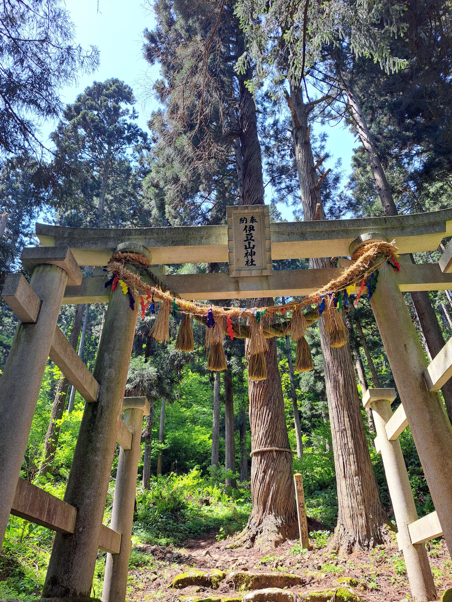 大平山 (姫神山)・伊豆山 / Kimura.Yさんの大平山の活動日記 | YAMAP / ヤマップ