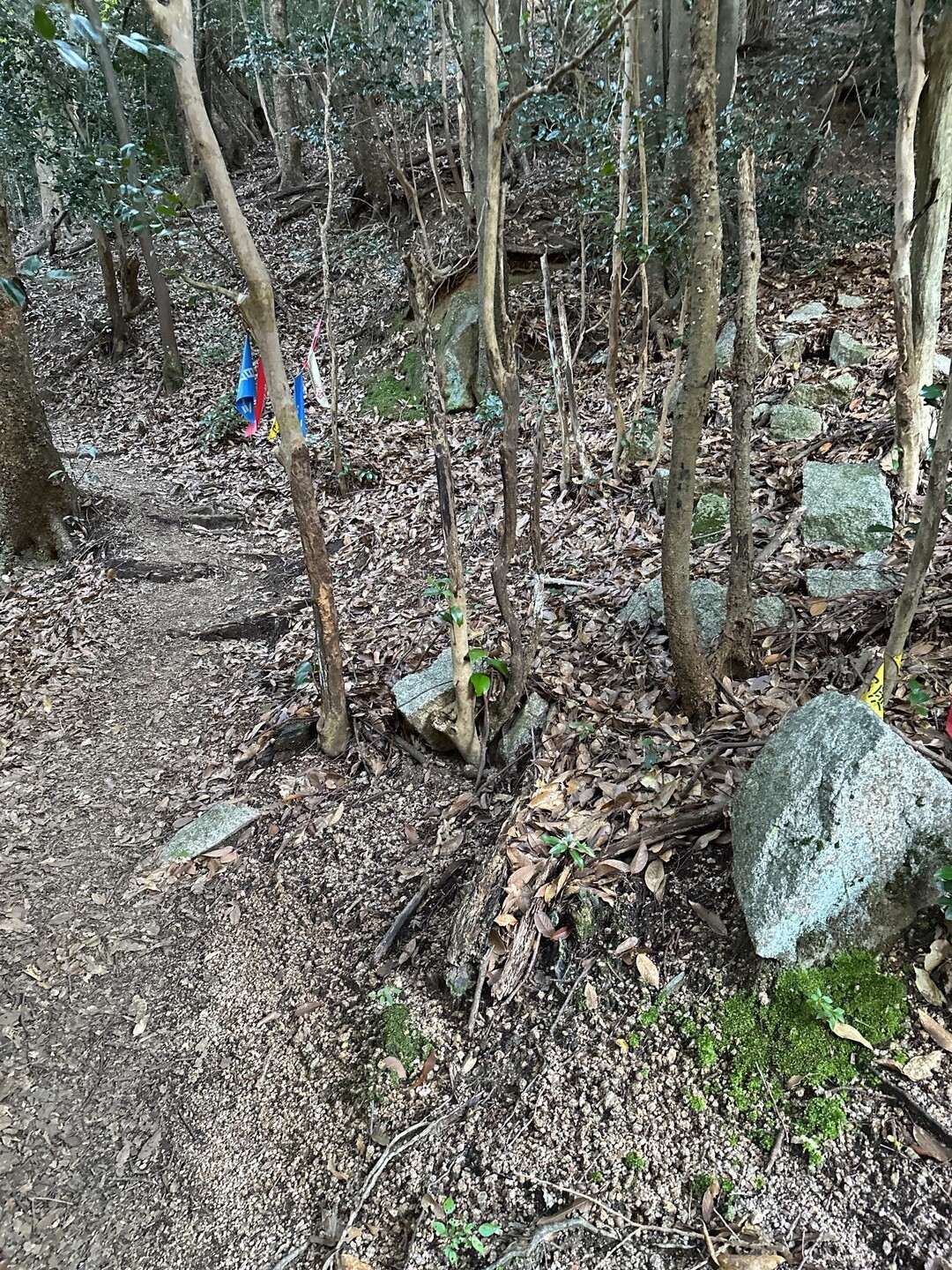 worryさんの投稿したフィールドメモ | YAMAP / ヤマップ