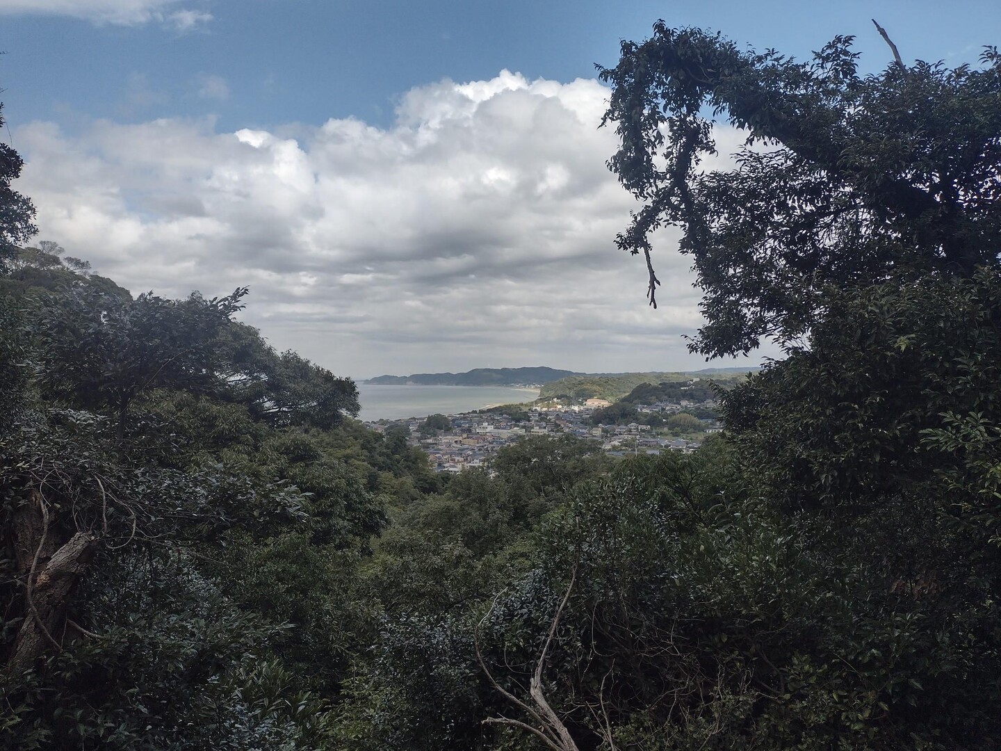 富津の天神山 / my-kyさんの富津市の活動データ | YAMAP / ヤマップ