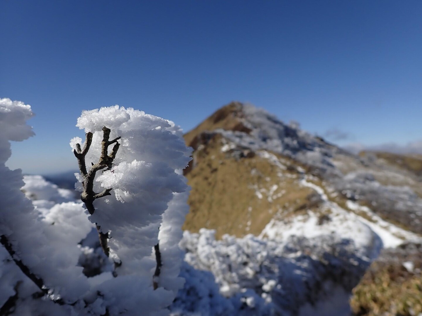 三嶺で樹氷観察-2024-12-01 / MC先輩さんの三嶺・天狗塚・石立山の活動データ | YAMAP / ヤマップ
