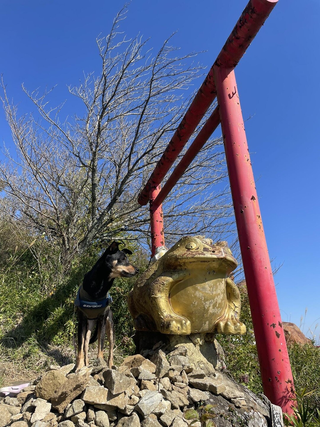 筑波山（女体山）・筑波山（男体山） / KAORIさんの筑波山の活動データ | YAMAP / ヤマップ